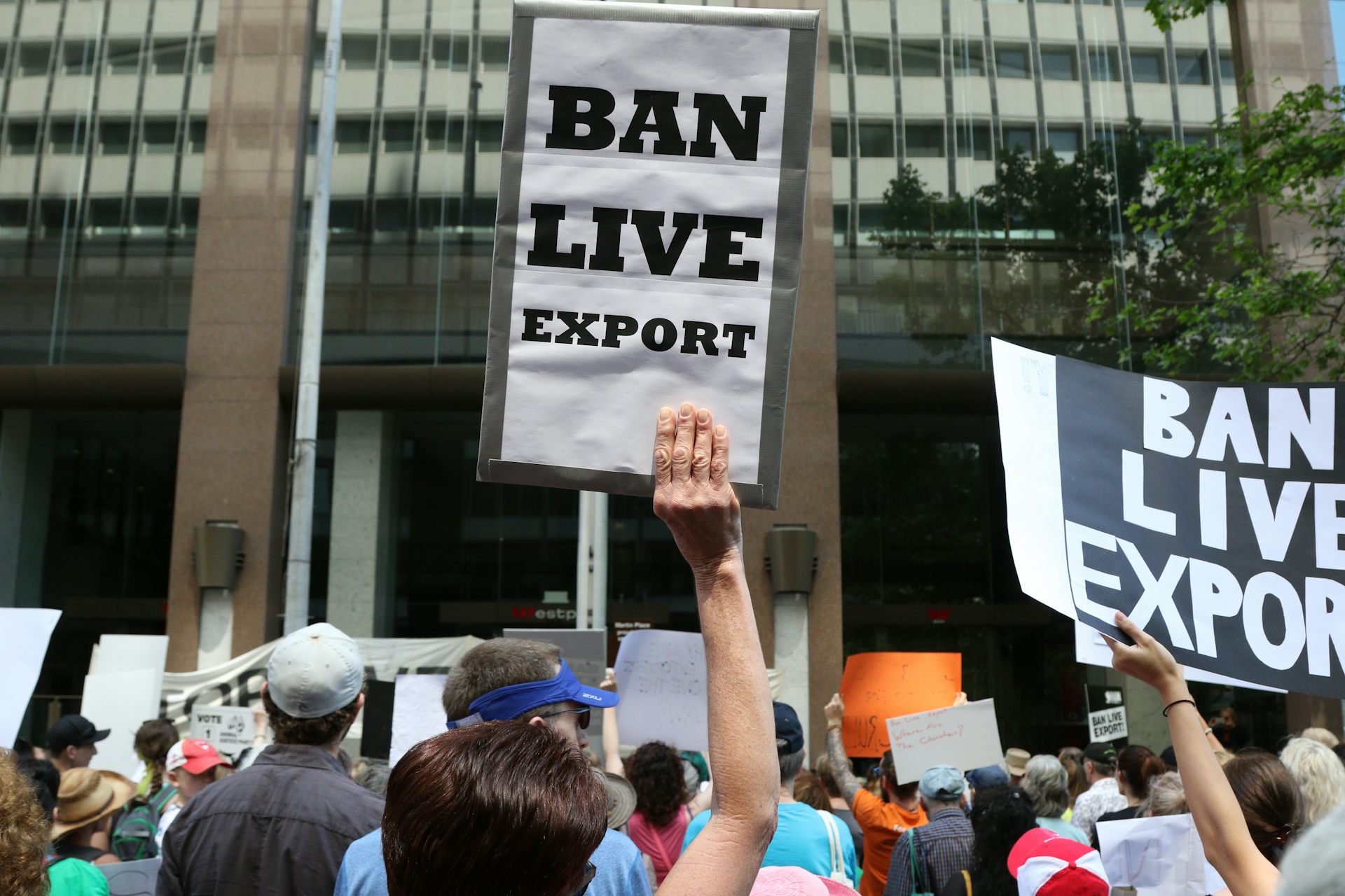 Can meat exports be made humane? Here are three key strategies