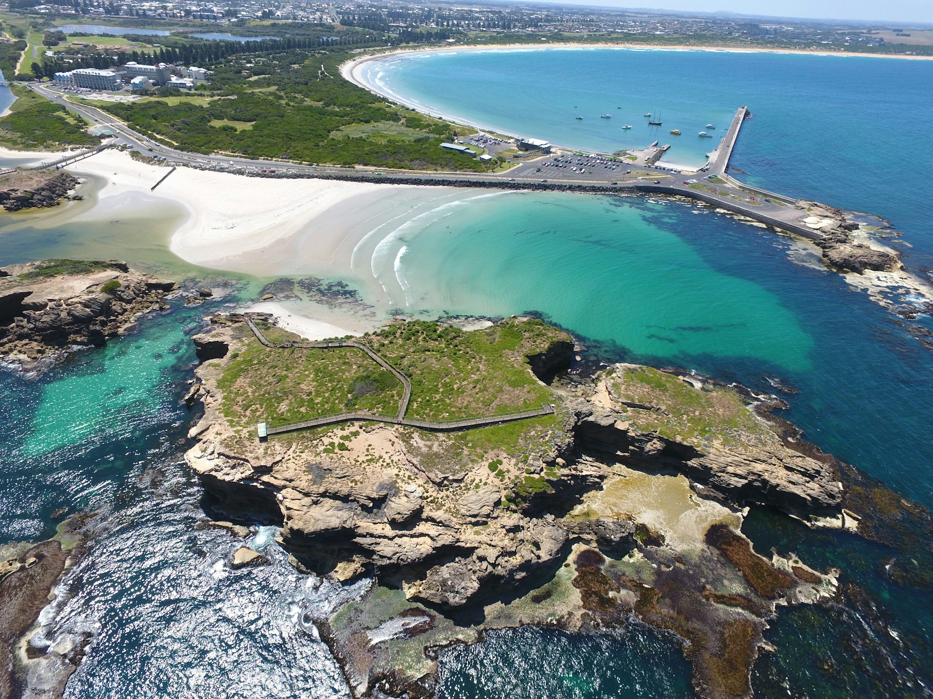 From drone swarms to tree batteries, new tech is revolutionising ...