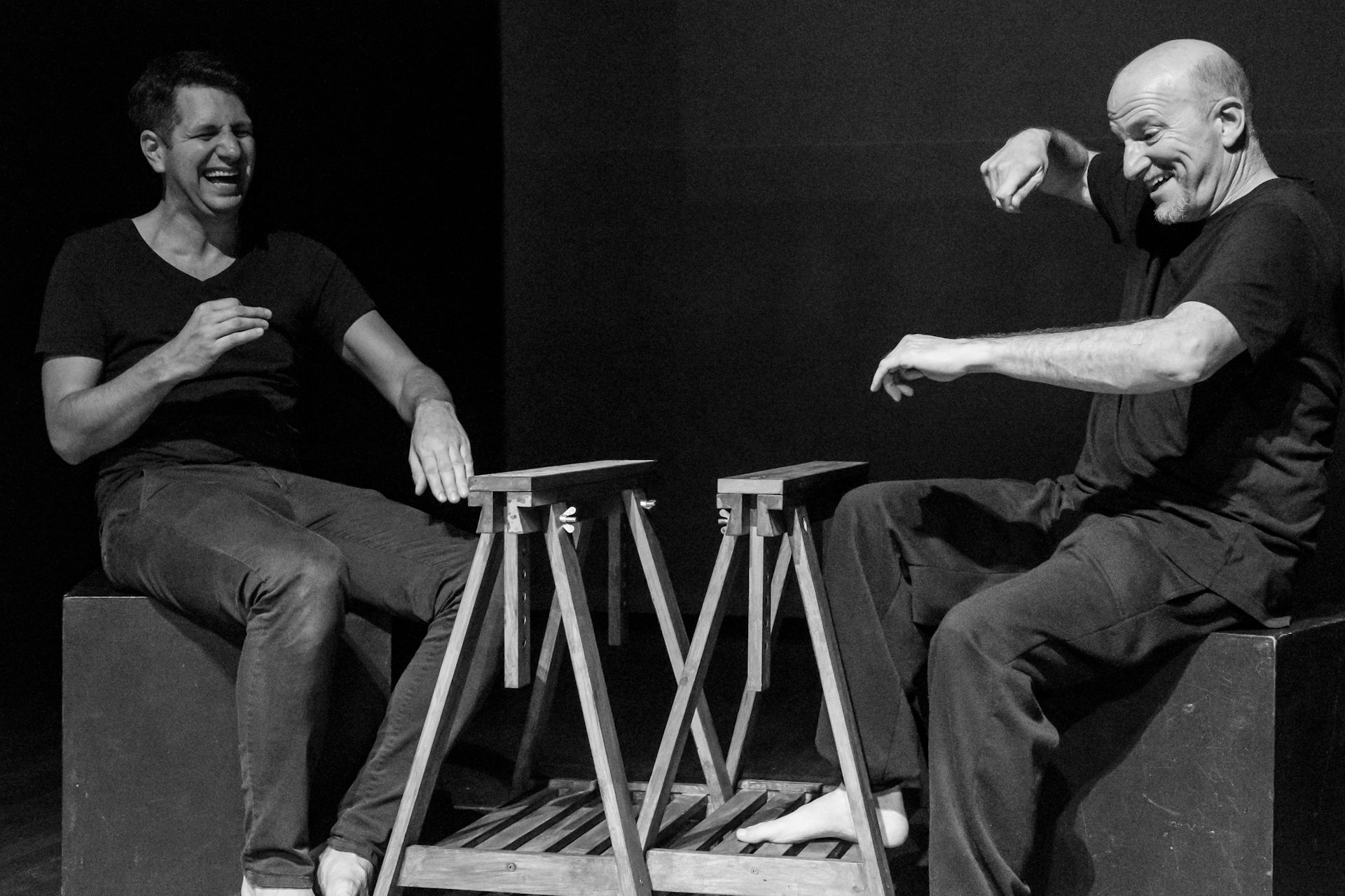 One story, two languages: sign and spoken language share the theatre stage