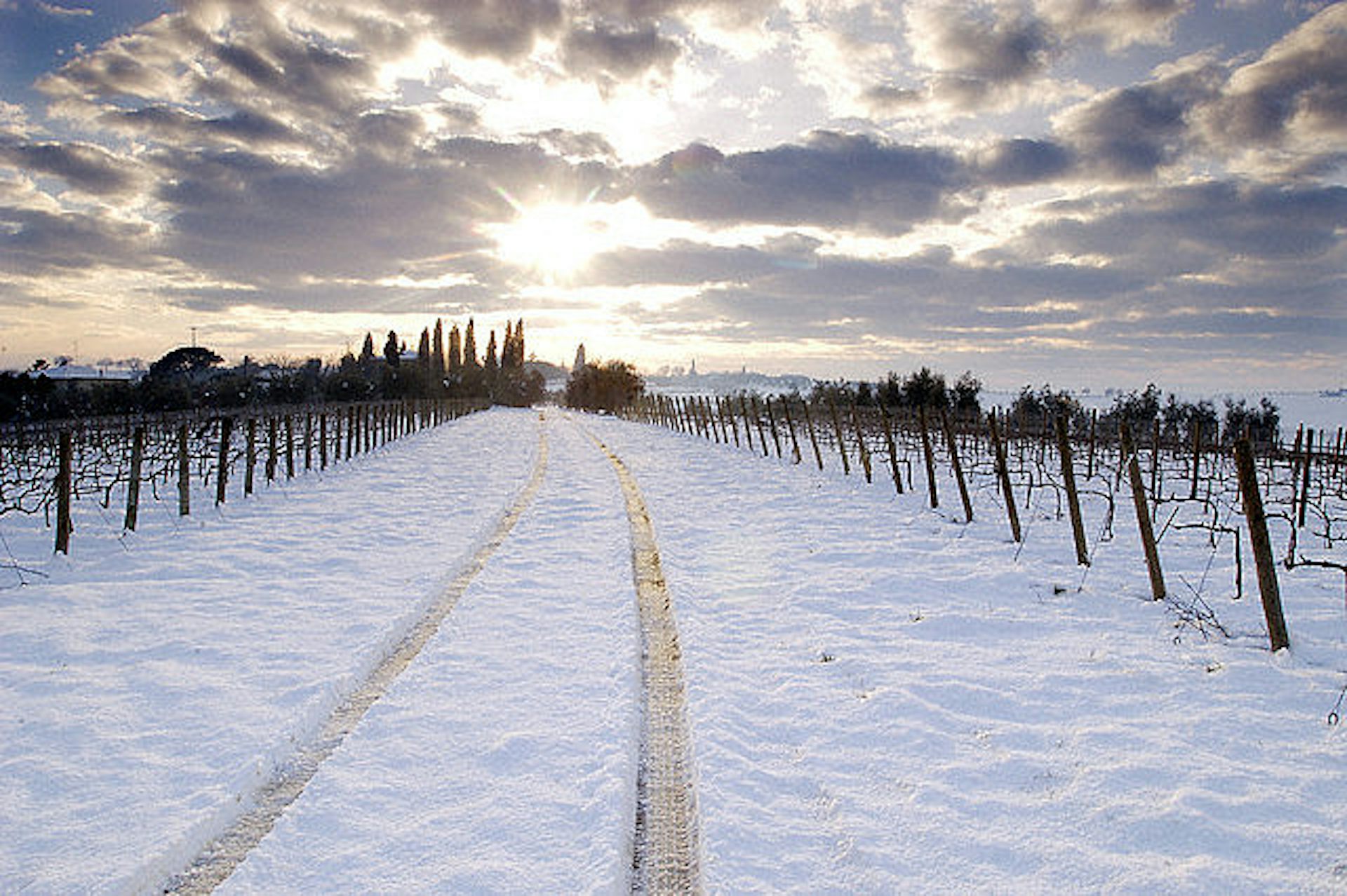 Evidence adds up: three studies of human impact on climate