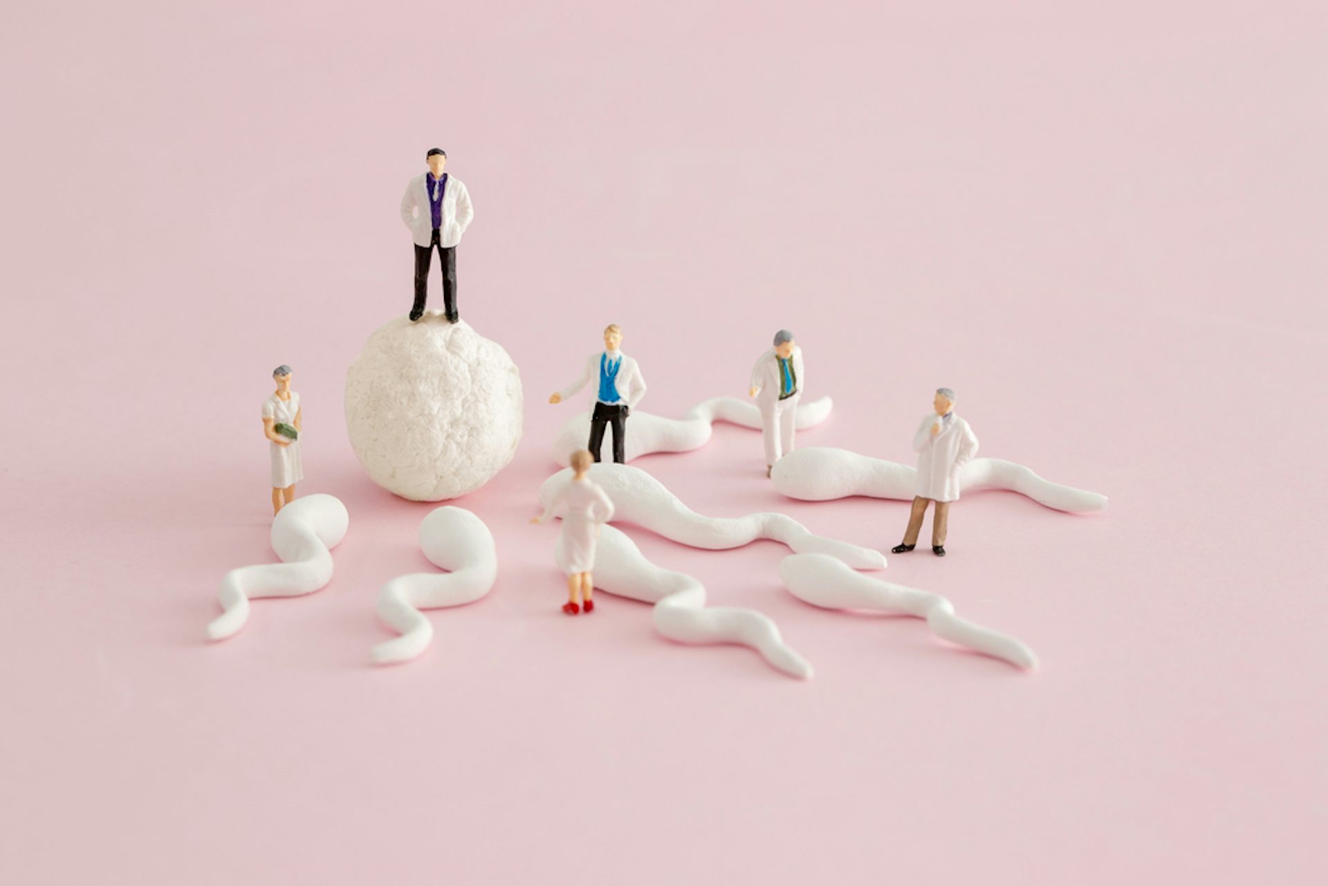 Genetically testing human embryos: what you need to know about the debate