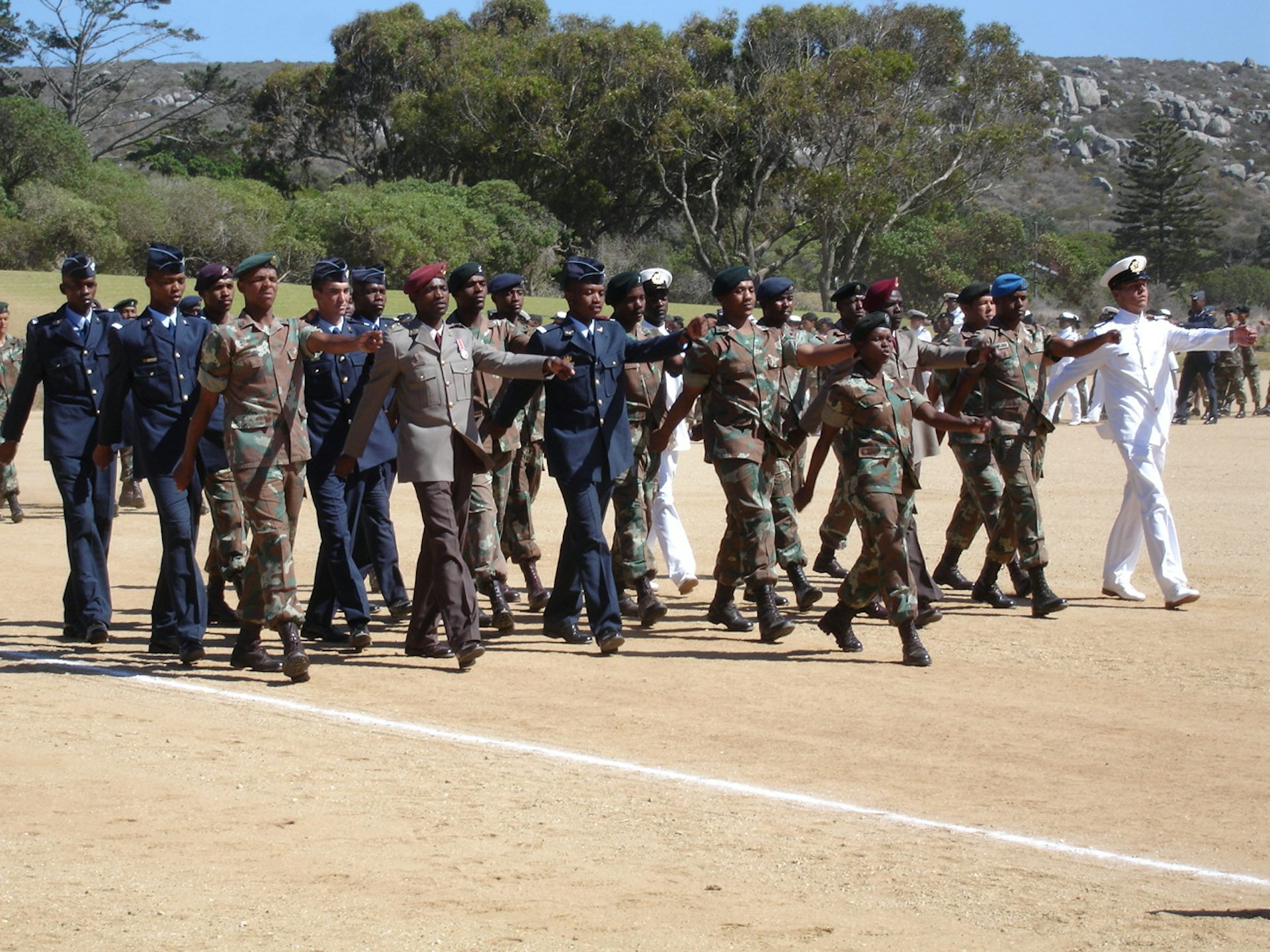 How indigenous expertise improves science: the curious case of shy ...