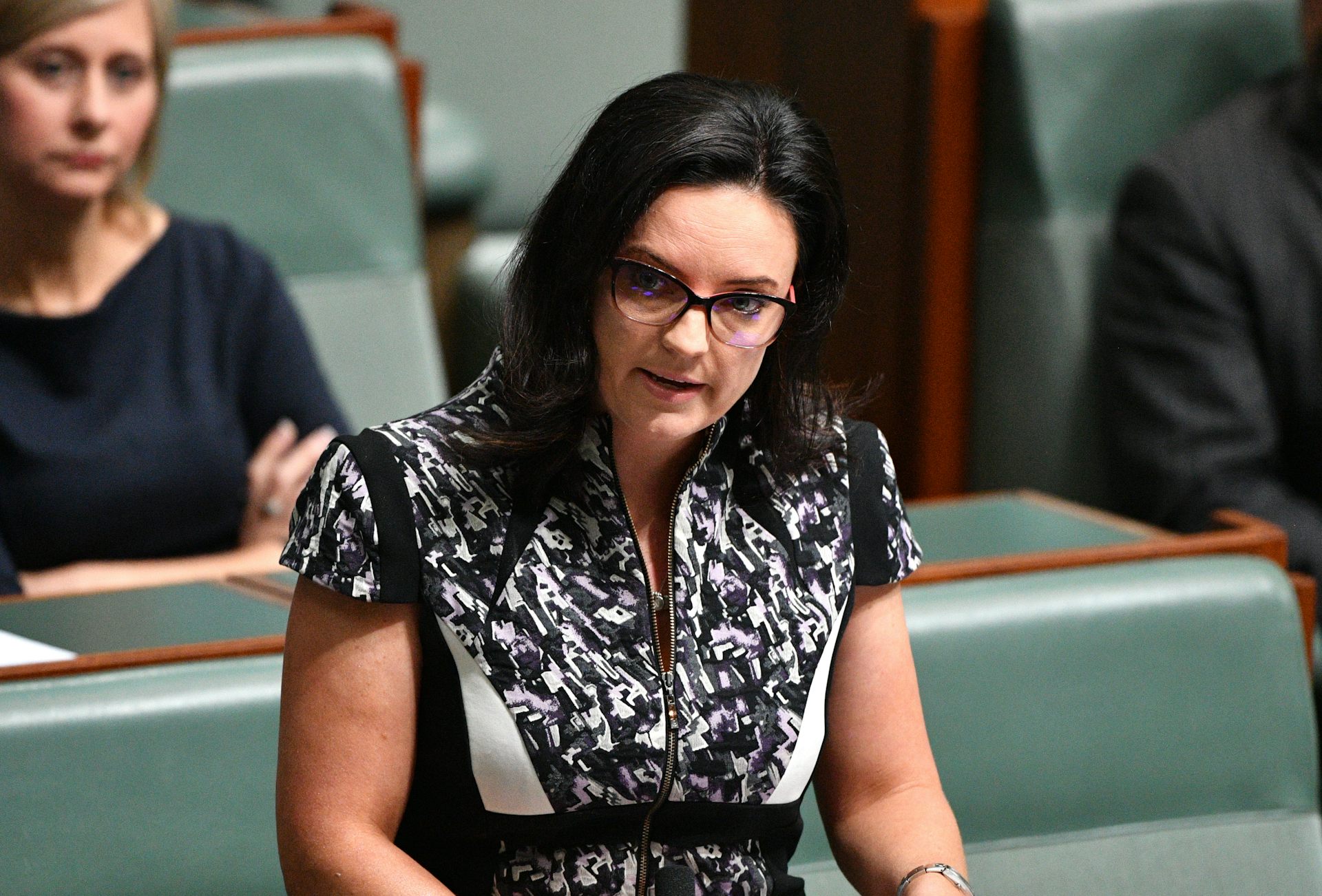 Labor MP Emma Husar takes personal leave as party investigates conduct ...