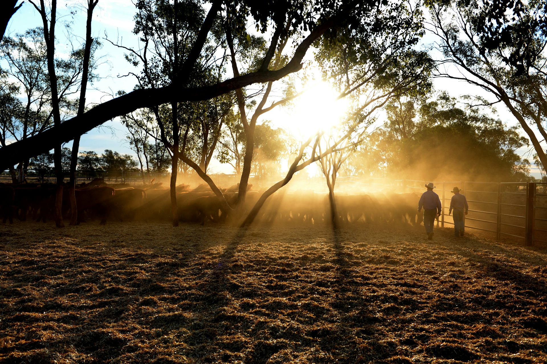 Why young women say no to rural Australia