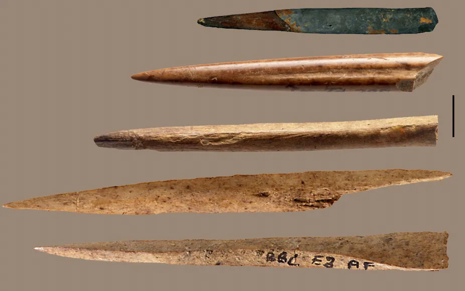 New Technology Tells Us Which Animal Bones Were Used To Make Ancient Tools new-technology-tells-us-which-animal-bones-were-used-to-make-ancient-tools