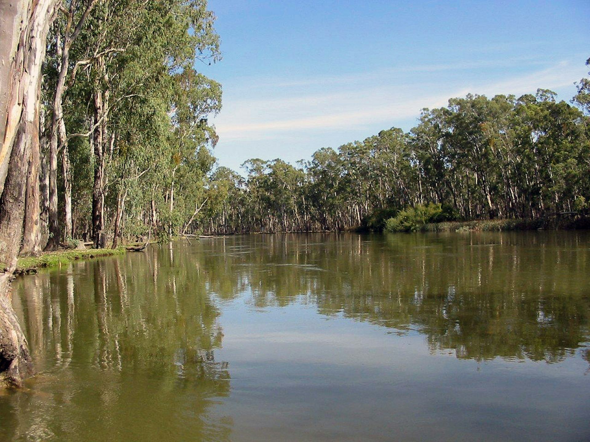 Unknown wonders: Barmah-Millewa forest