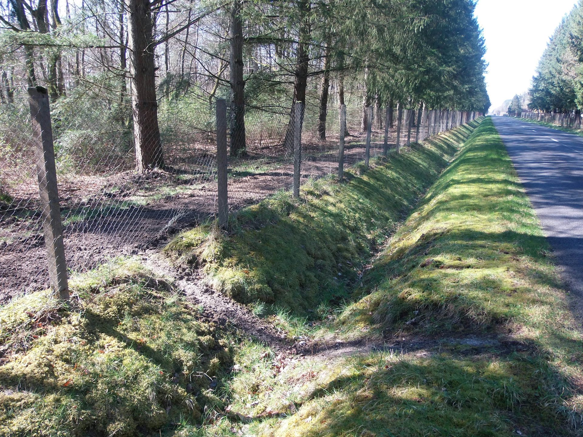 En Sologne, la biodiversité est-elle menacée par les clôtures