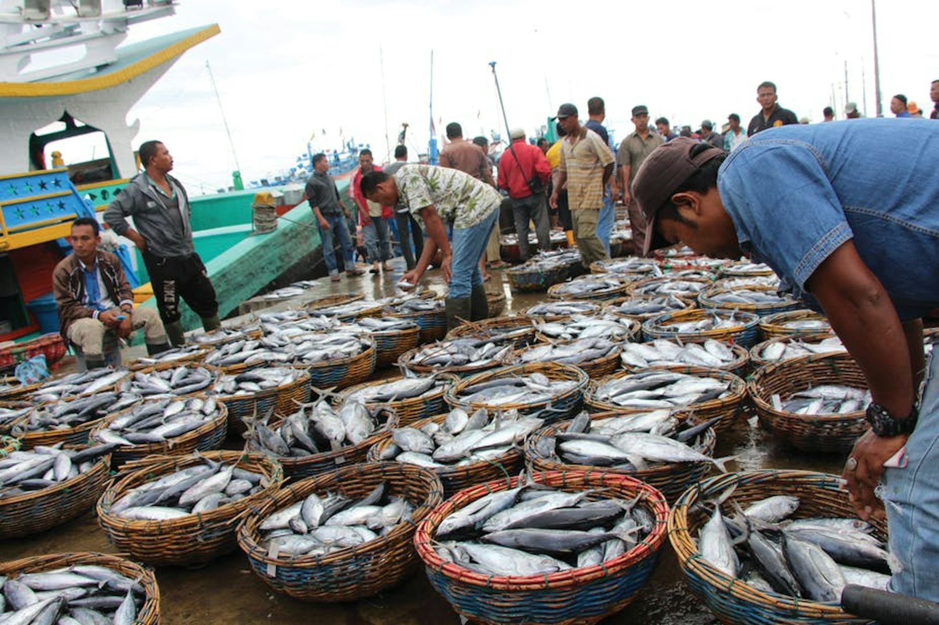 fishIDER, alat baru untuk memperbaiki manajemen perikanan Indonesia