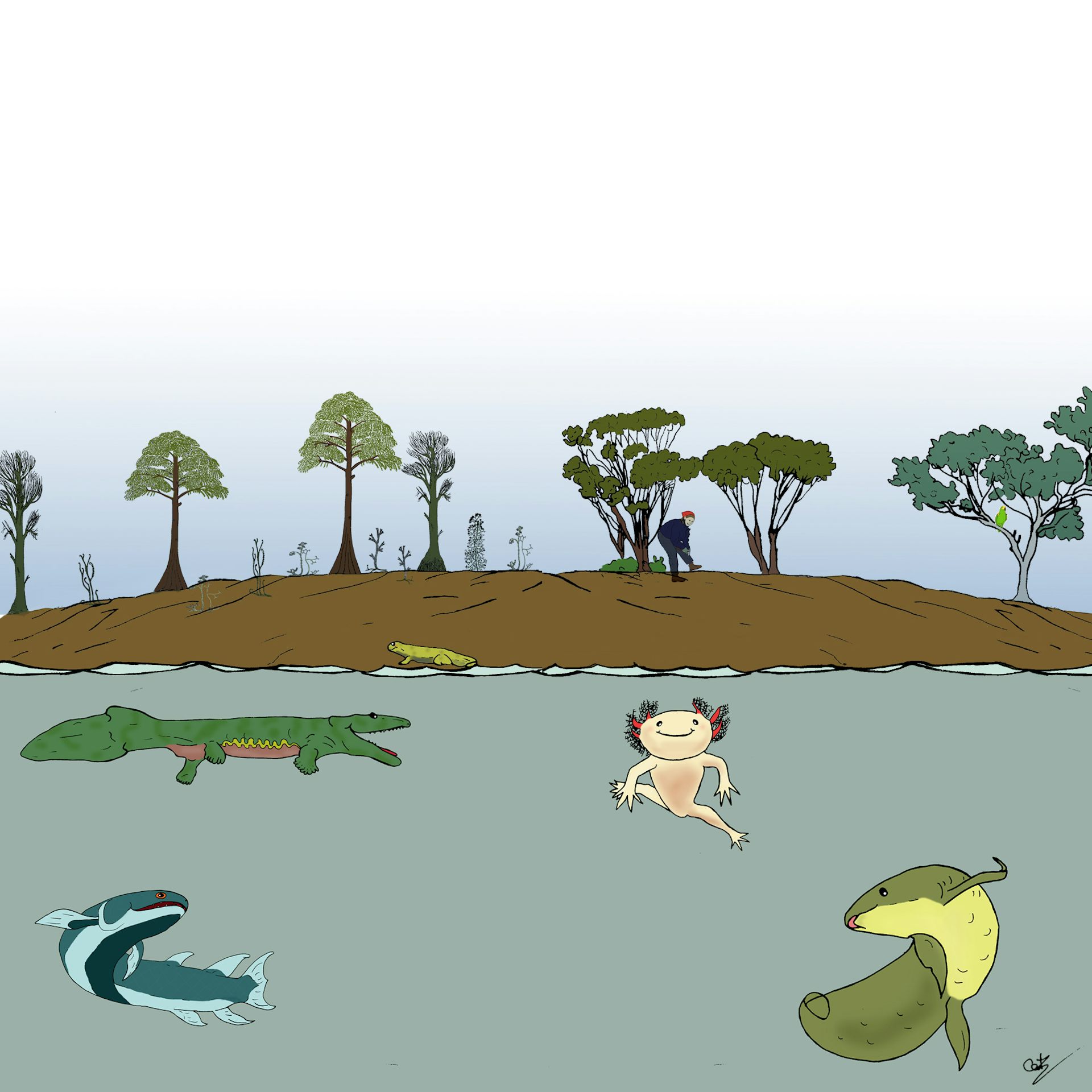 A dip in your hip, a glide in your stride? You have fish to thank