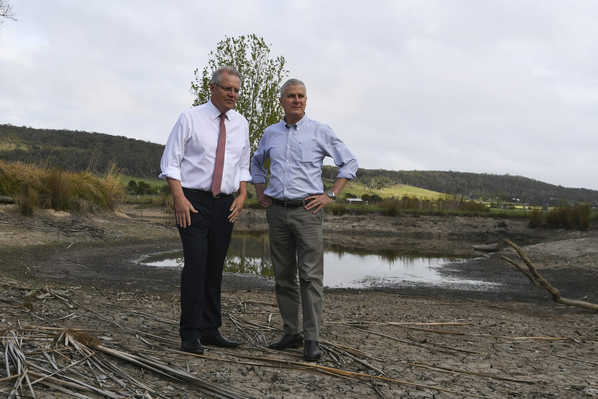 Why is everyone talking about natural sequence farming?