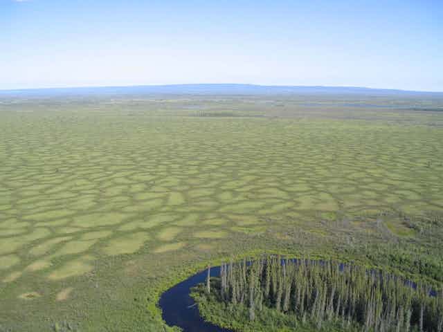 Indigenous Protected Areas Are The Next Generation Of Conservation