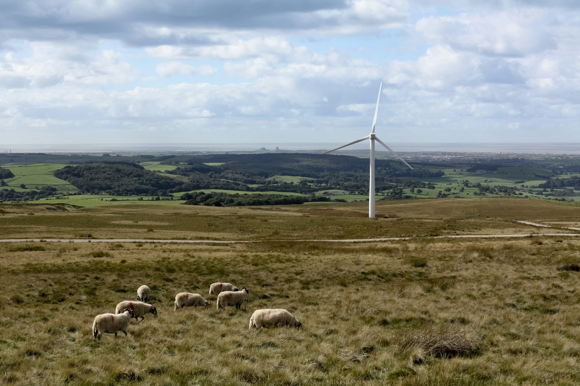 New policies will reveal how we really feel about wind farms