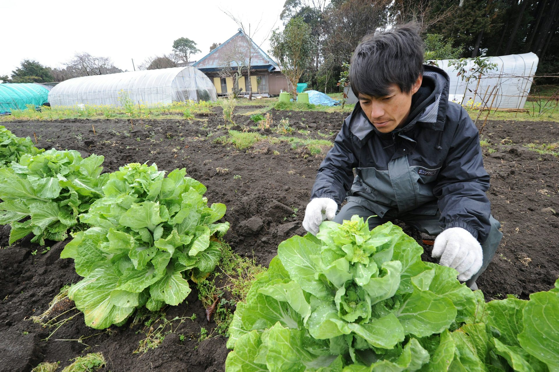 After the disasters, can we revive a free trade agreement with Japan?