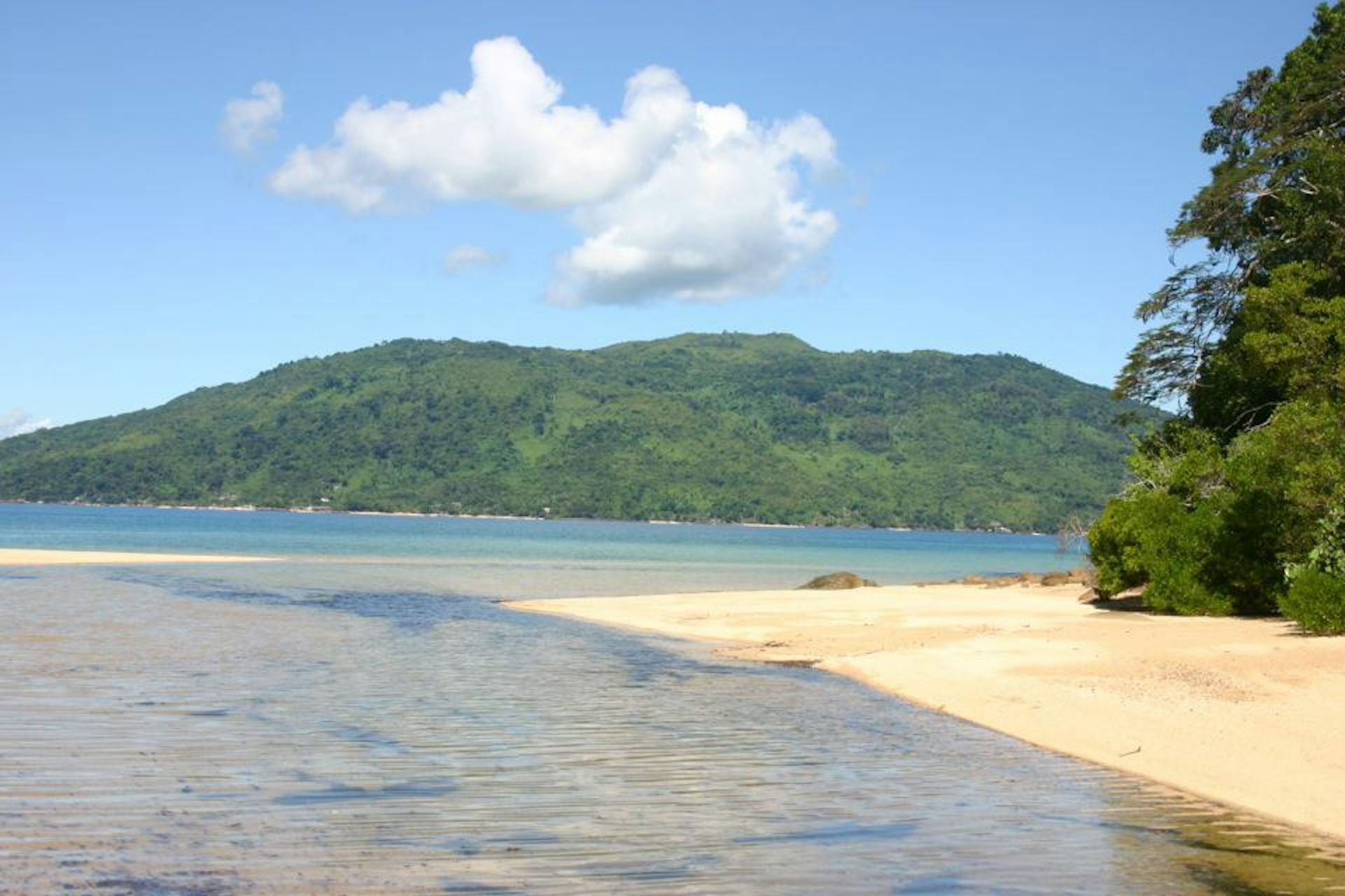 Great Barrier Reef pollution controls are not enough: here's what we can do