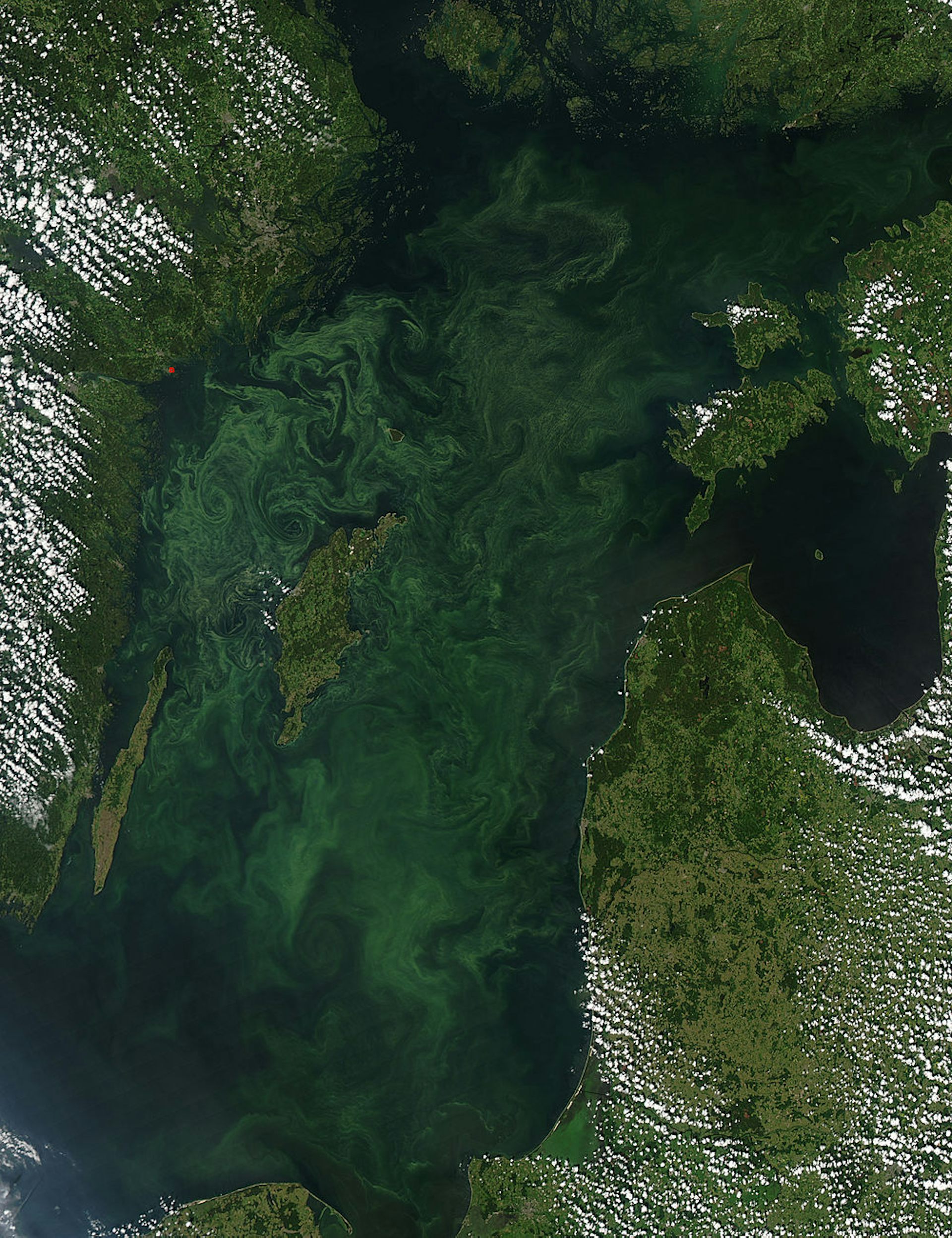 Coastal dead zones on the rise