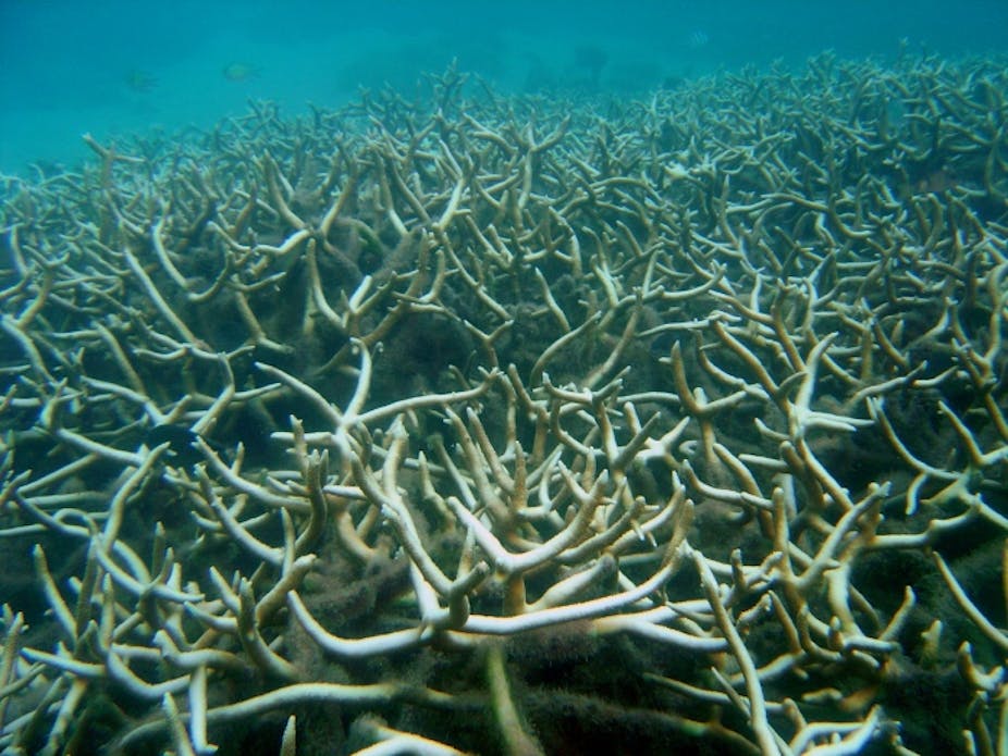 Ocean Acidification Is Chemistry Not Conjecture
