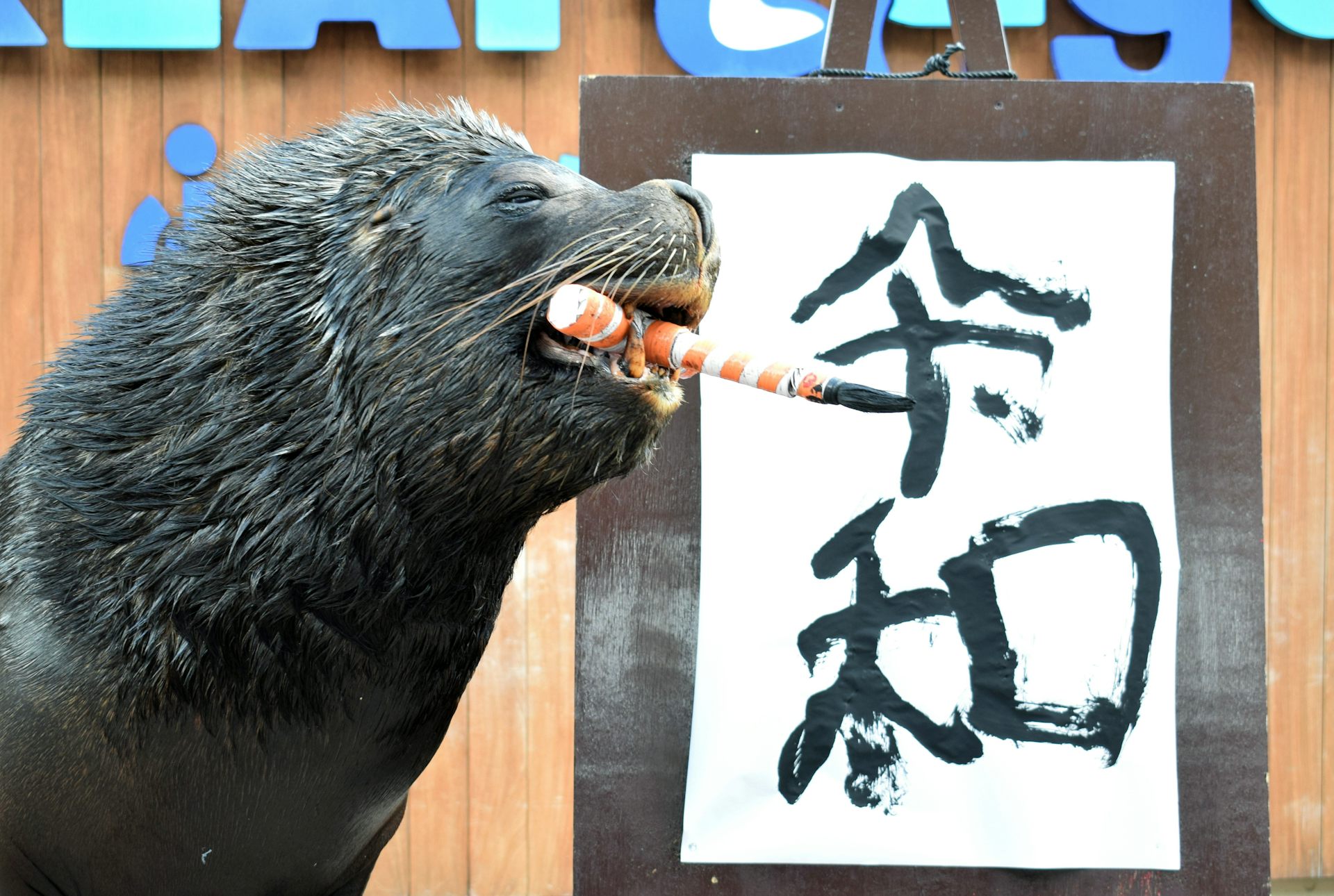 Japan: spring and prosperity the watchwords as country announces a new era