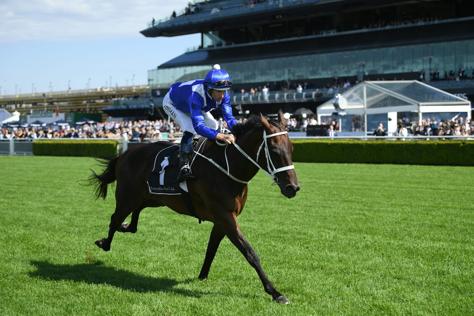 The success of Winx shows the value of symmetry in race horses