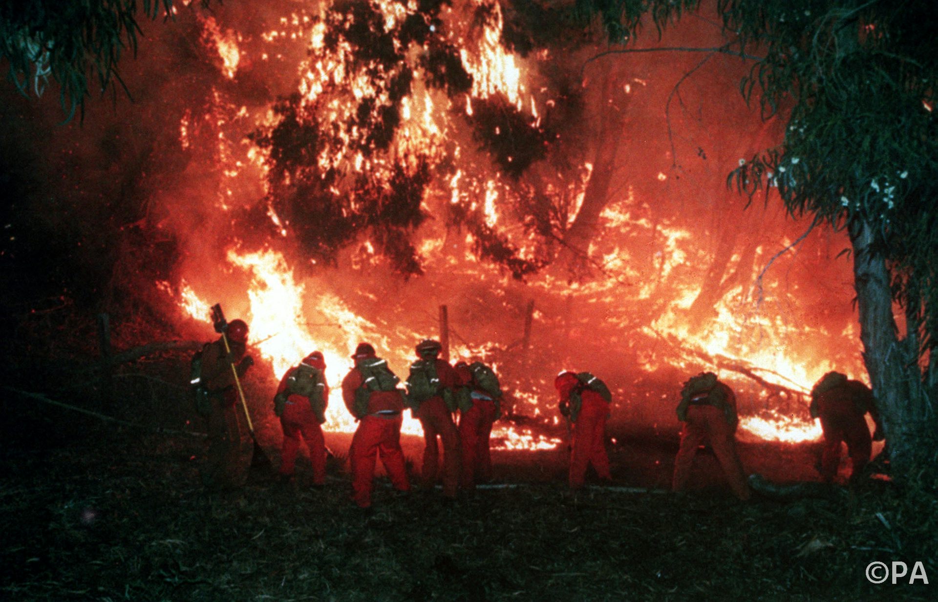 Are extreme forest fires the new normal?