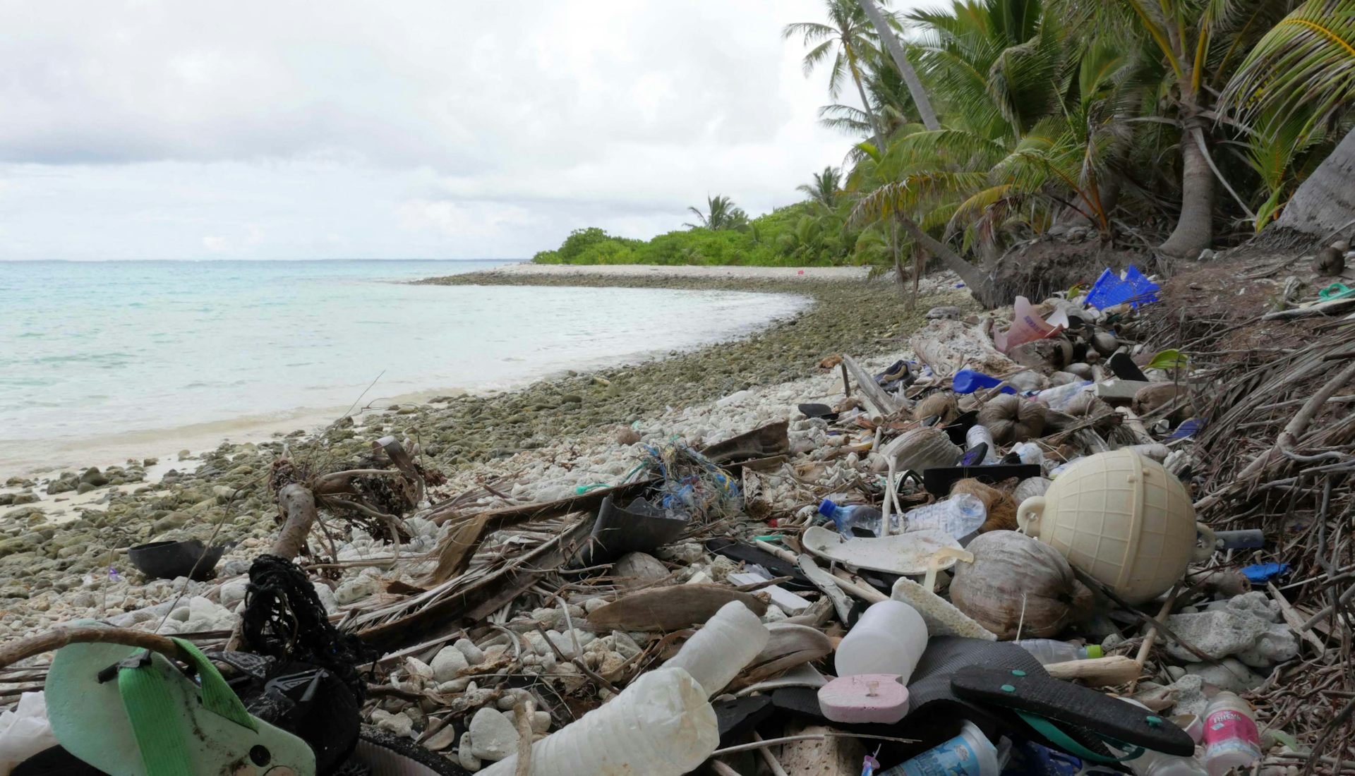 Will the discovery of another plastic-trashed island finally spark ...