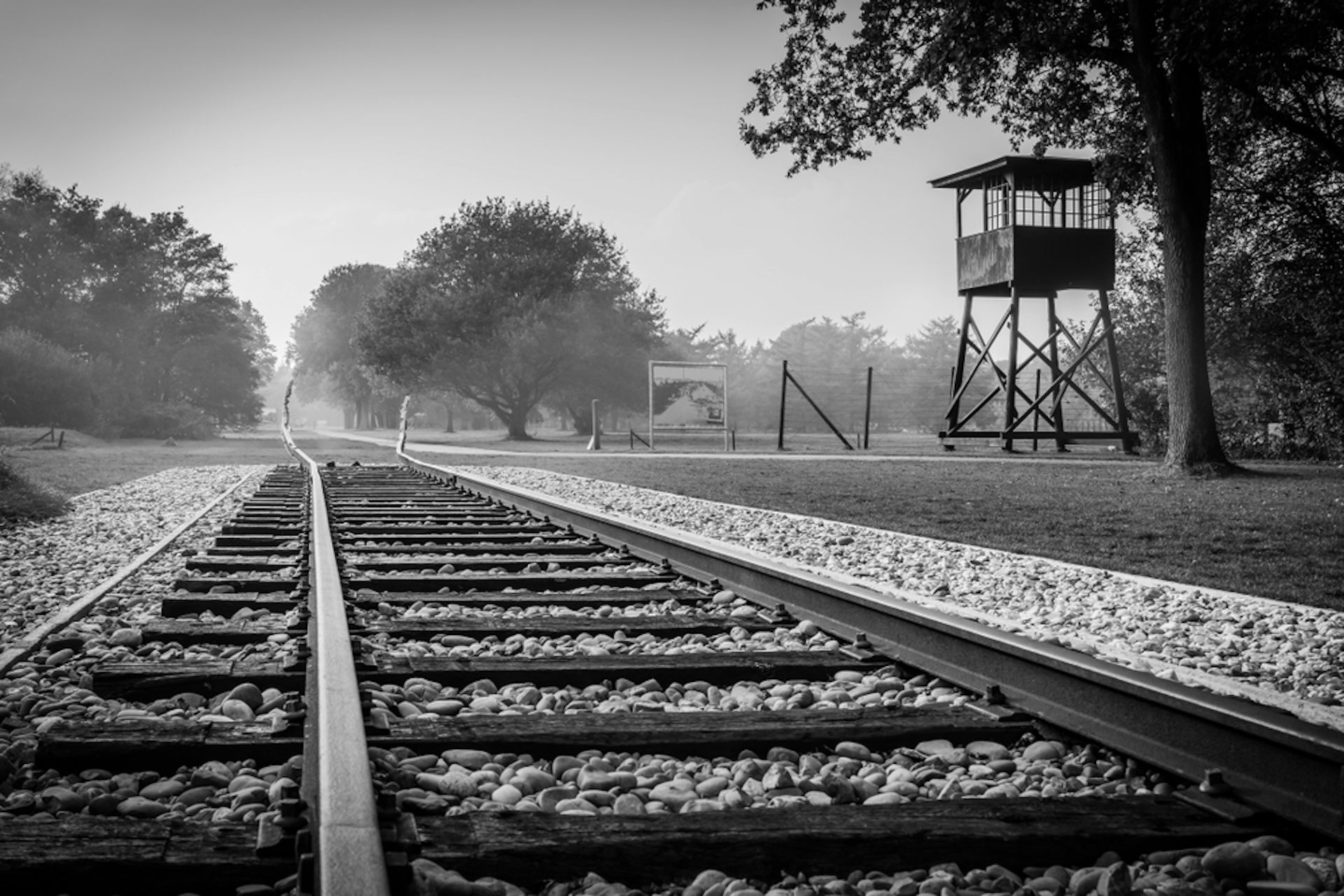 Anne Frank and the Holocaust: how death rates varied across the ...