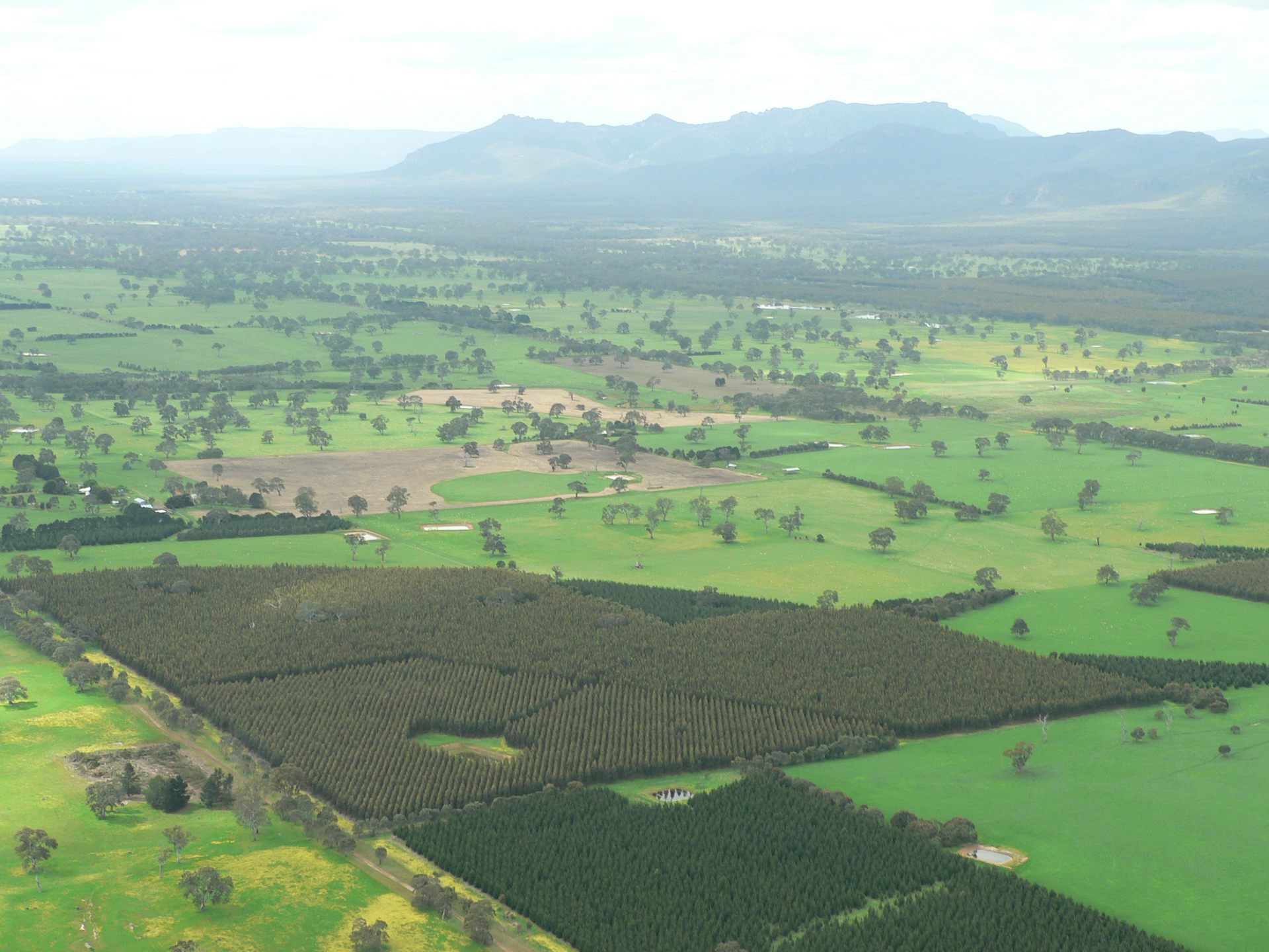 Revegetation helps fix the climate, but Australia would rather clear land