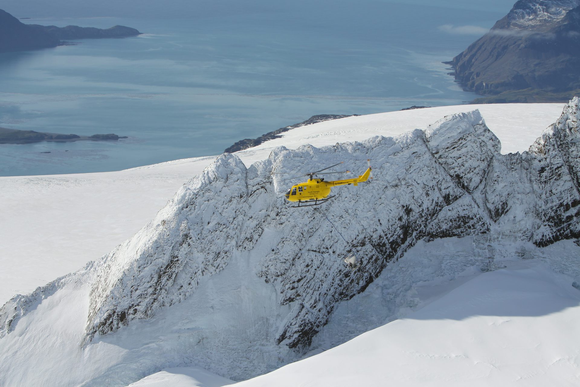 The birdlife of South Georgia is handed another chance
