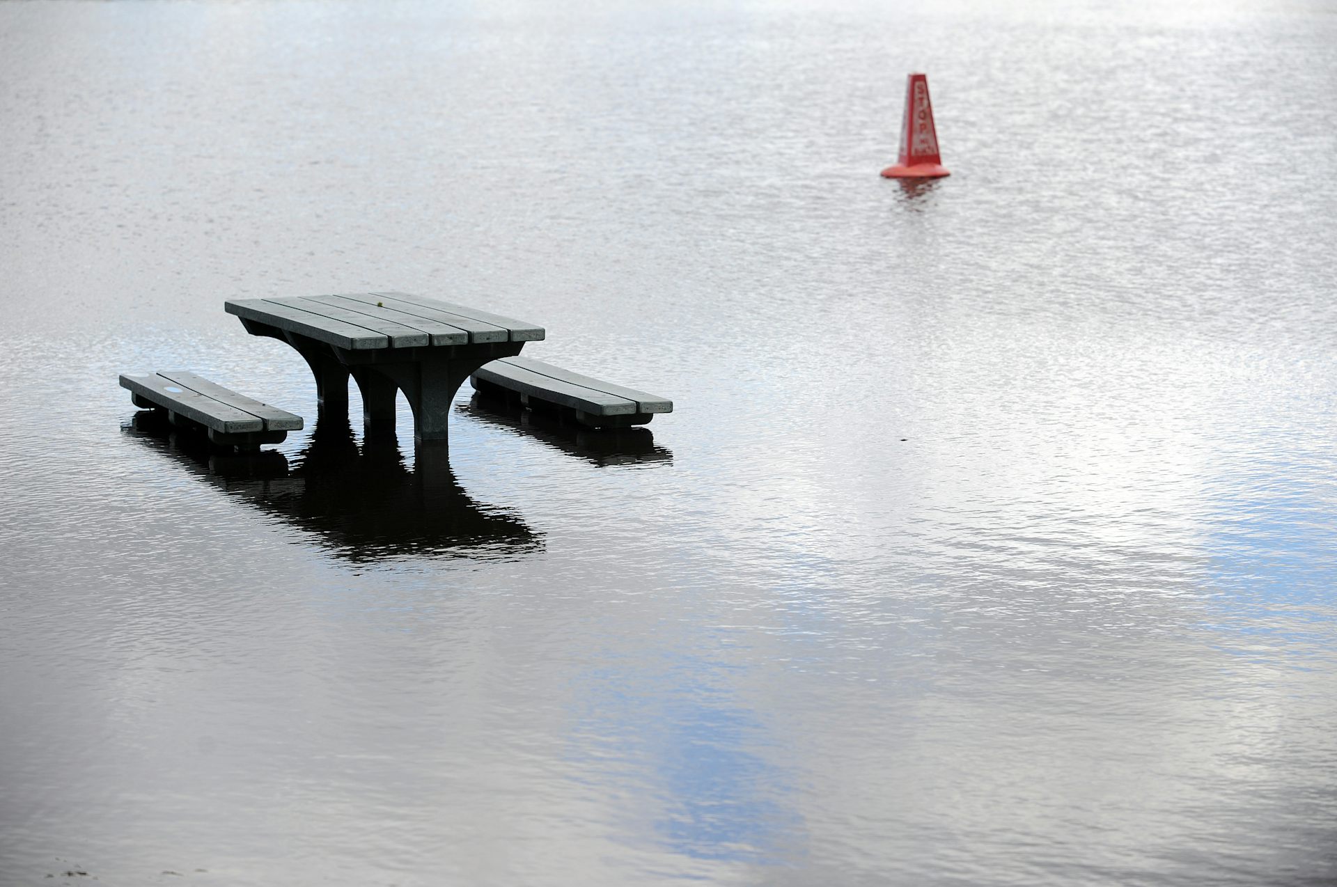 Getting projections right: predicting future climate