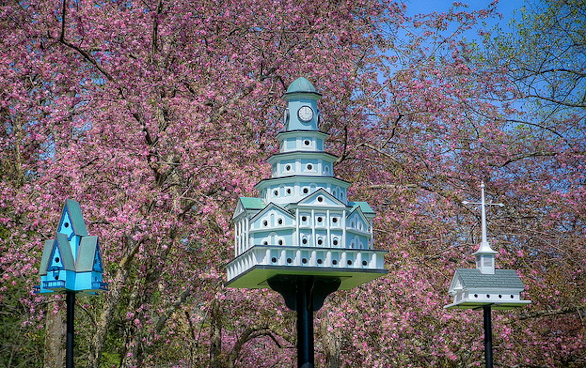 Adapt, move, or die: the pressures of global warming