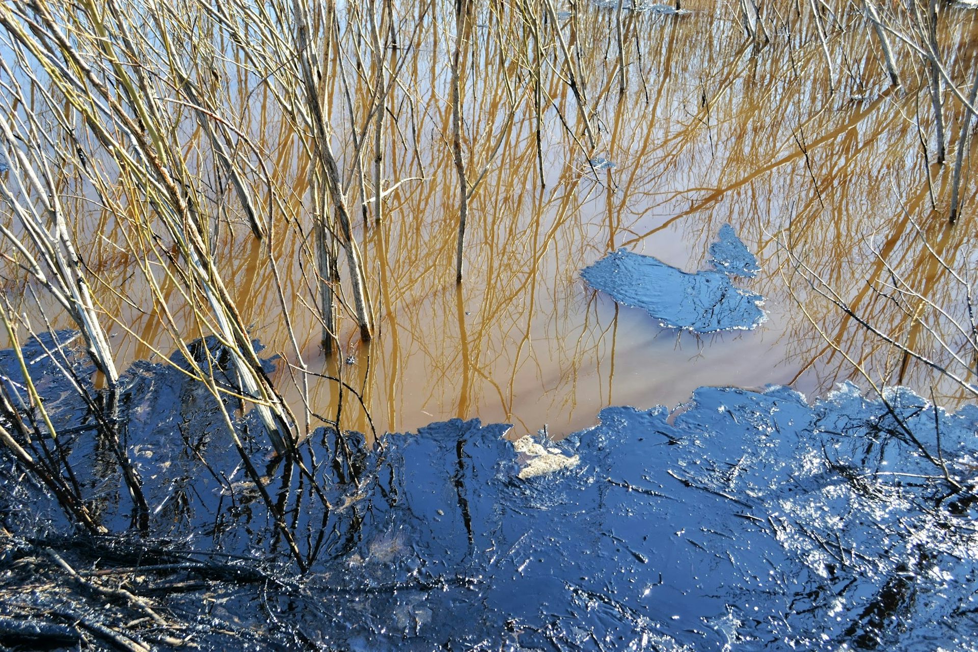 Russia’s crumbling environmental safeguards