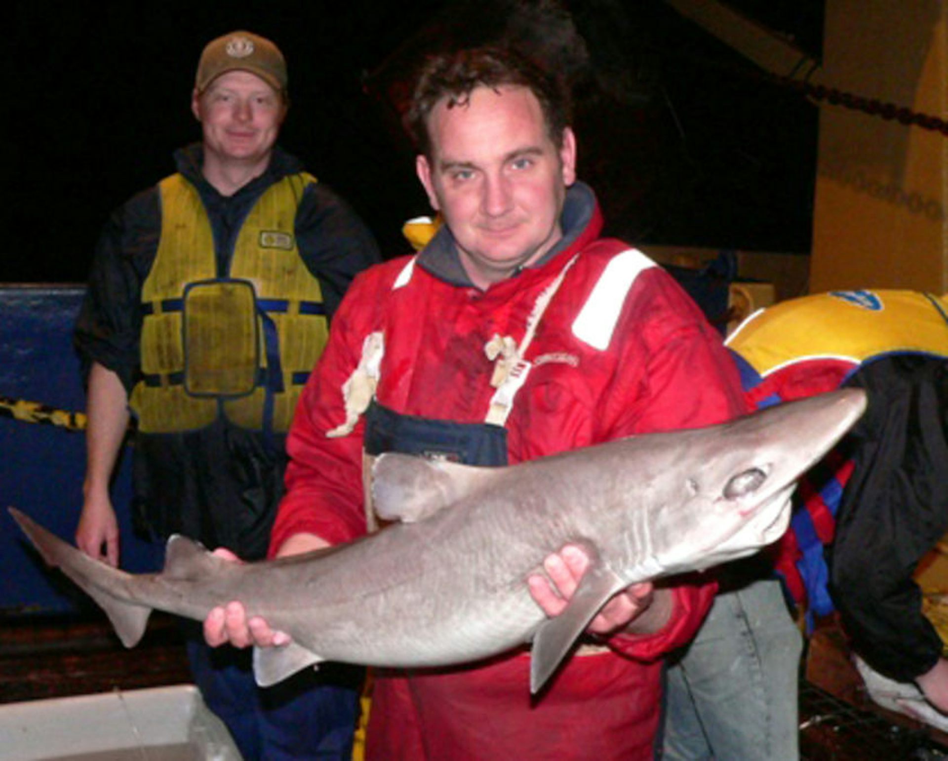Australian endangered species: Harrisson’s Dogfish