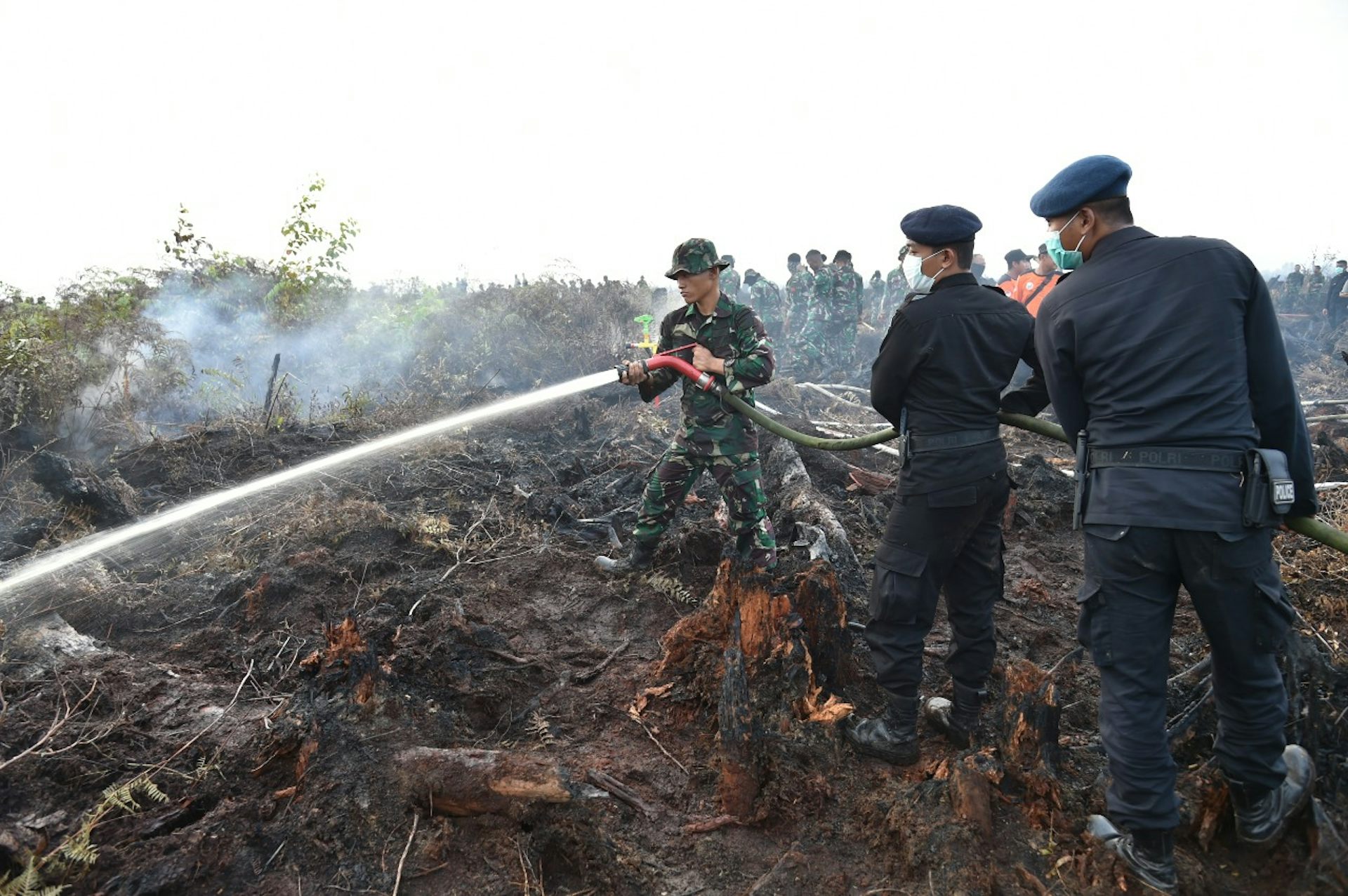 Mengapa memadamkan kebakaran hutan di Indonesia begitu sulit: sebuah ...