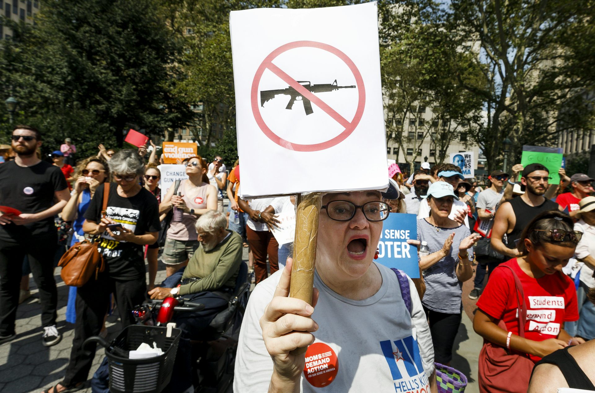 Americans prefer gun control, but few prioritise it