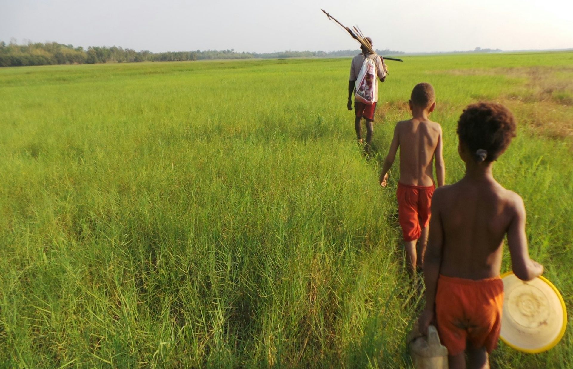 In West Papua, oil palm expansion undermines the relations of ...