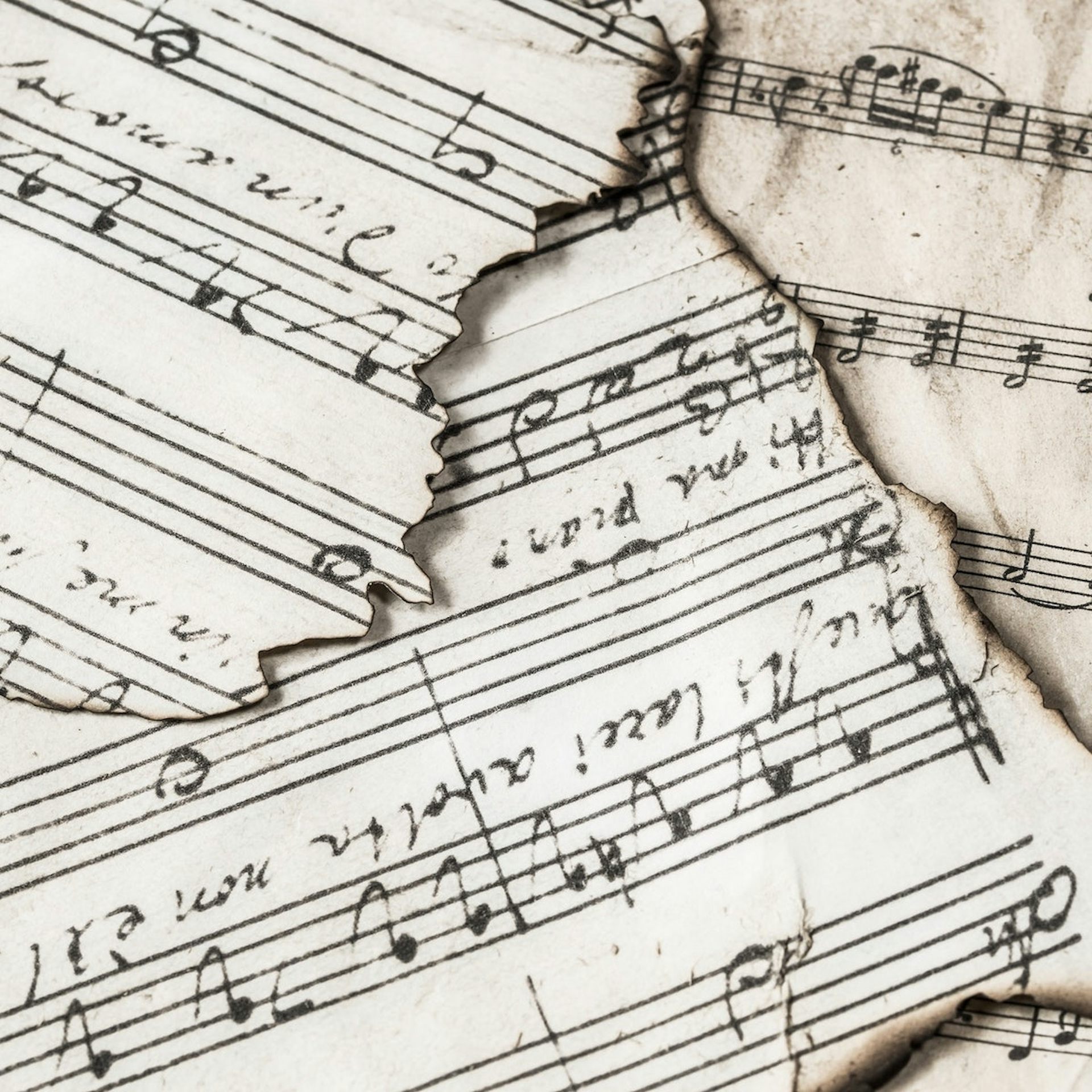 Podcast : Pas tous égaux face au frisson musical