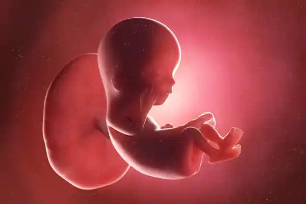 Diabetes And Pregnancy Can Be A Tricky but Achievable Mix HealthTimes Diabetes And Pregnancy Can Be A Tricky but Achievable Mix HealthTimes