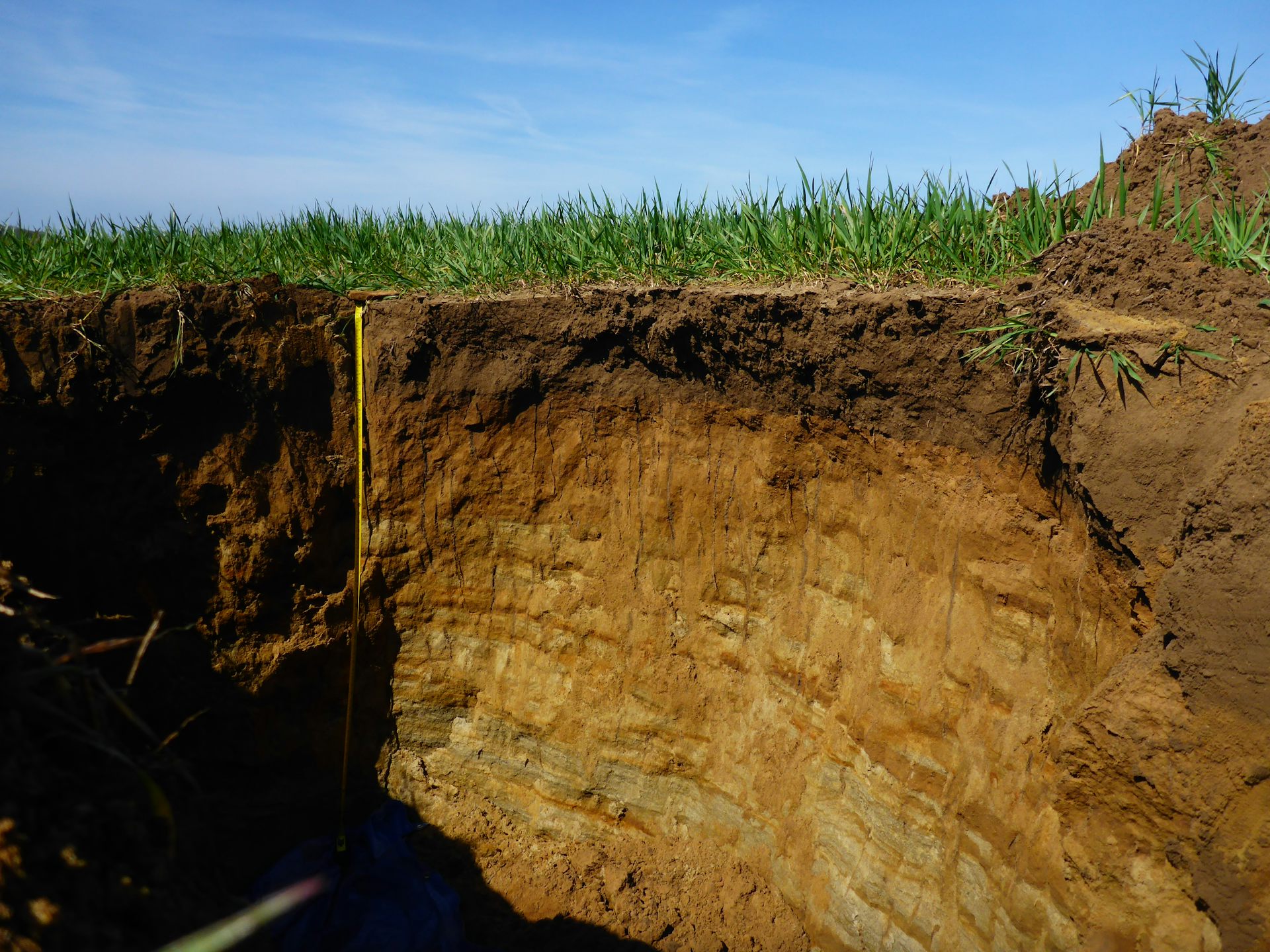 Soil is our best ally in the fight against climate change – but we’re ...