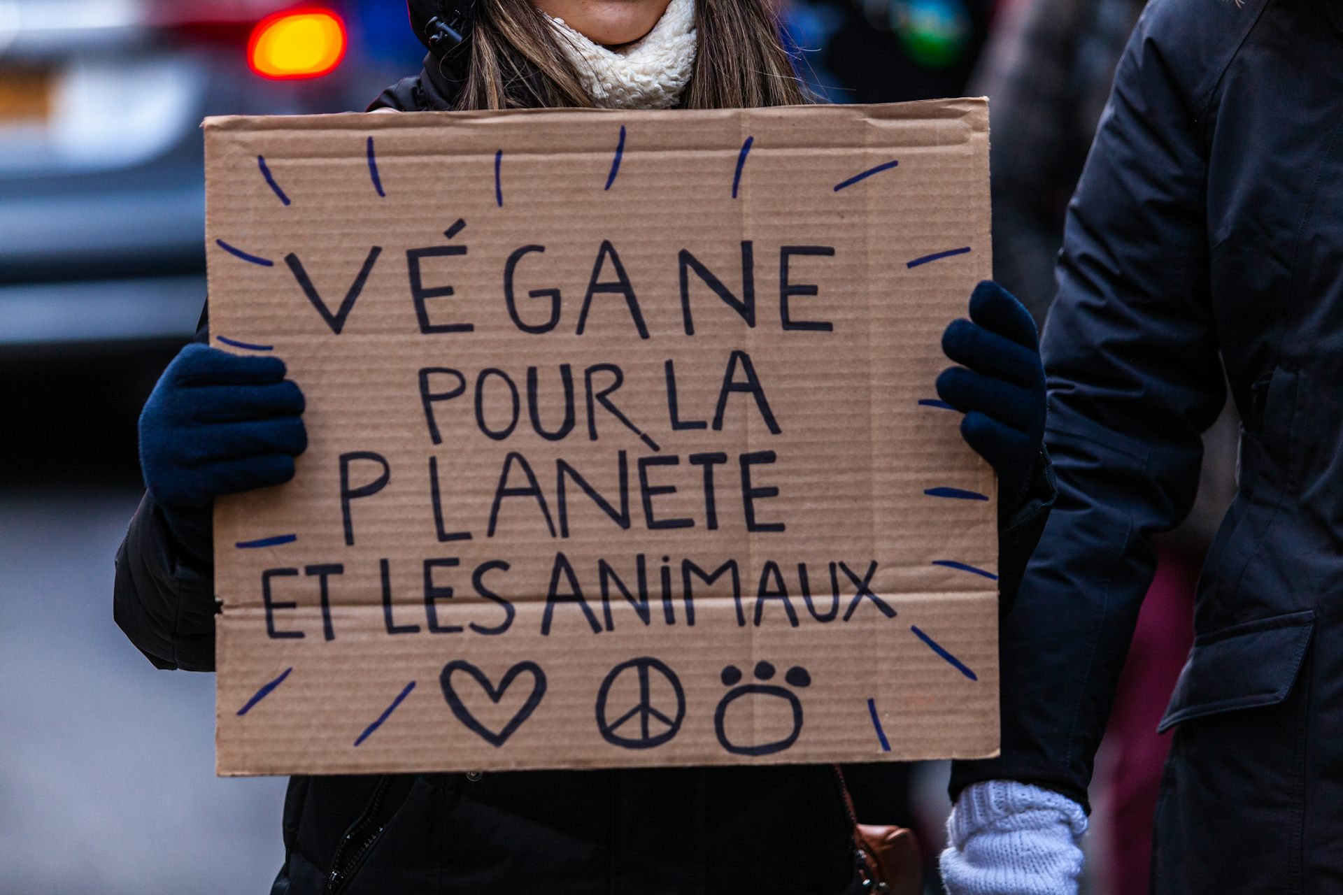 Comment le véganisme est devenu un mouvement social