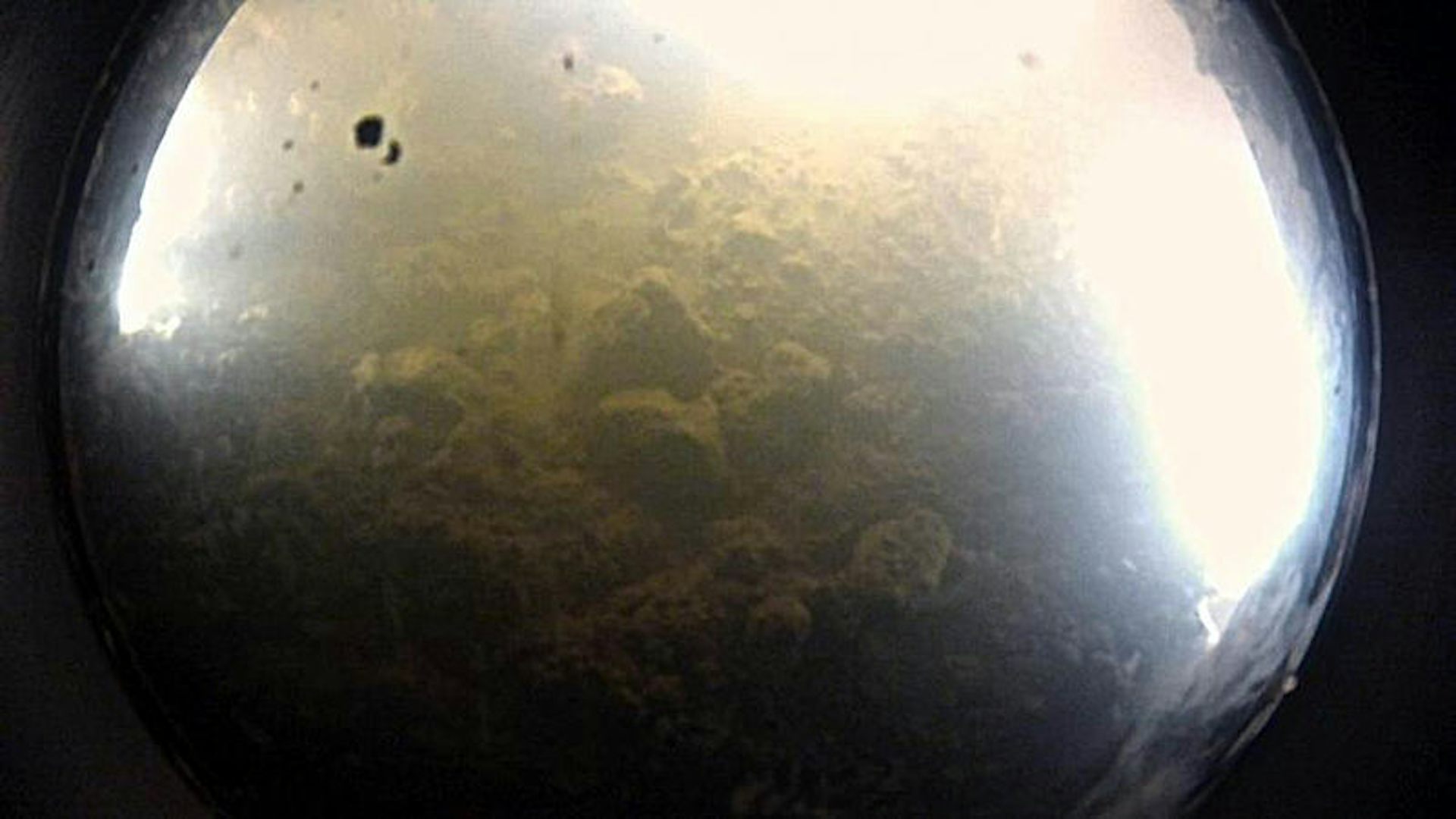 What lies beneath … evidence of life under the Antarctic ice