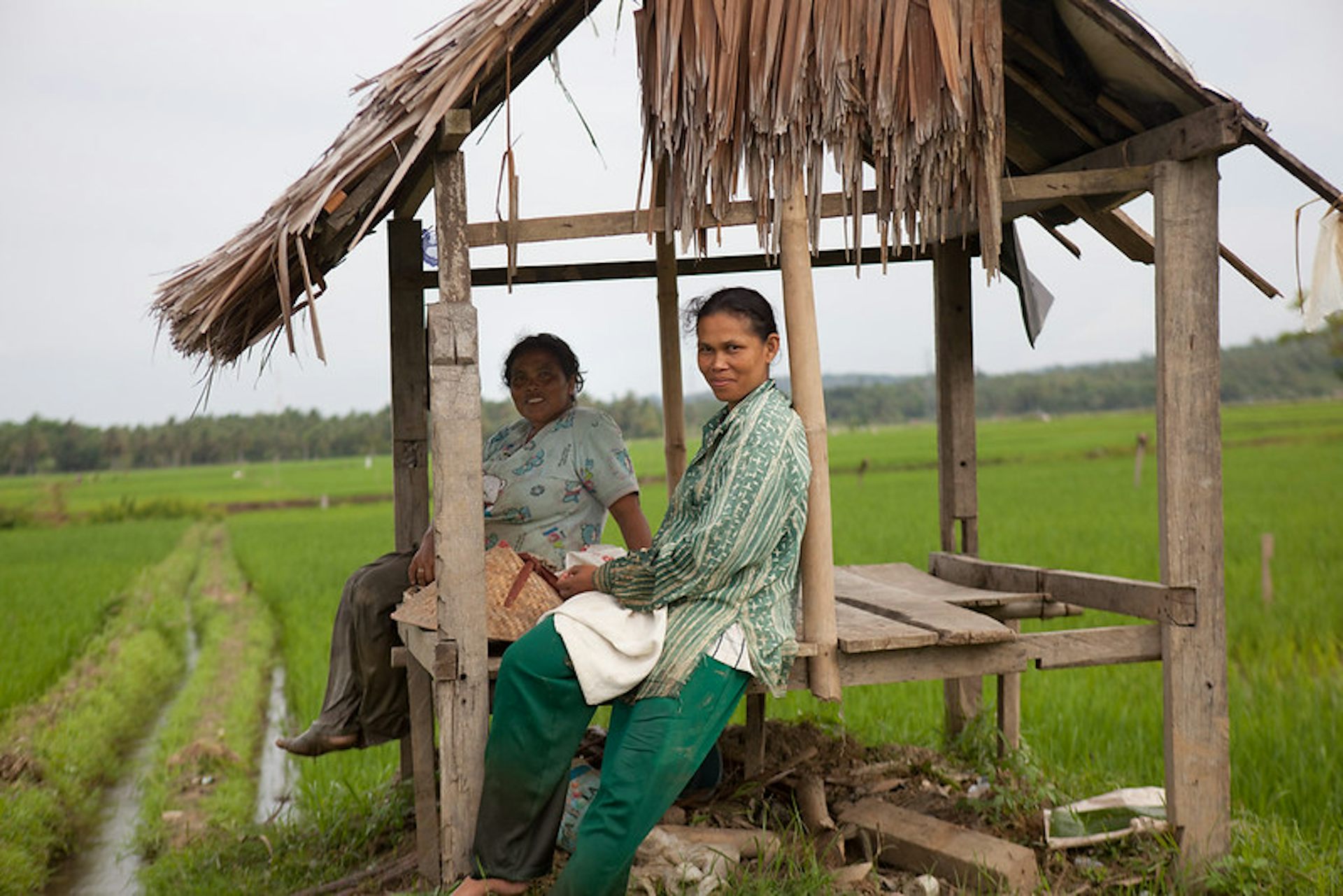 Why stunting persists despite smaller numbers of poor people