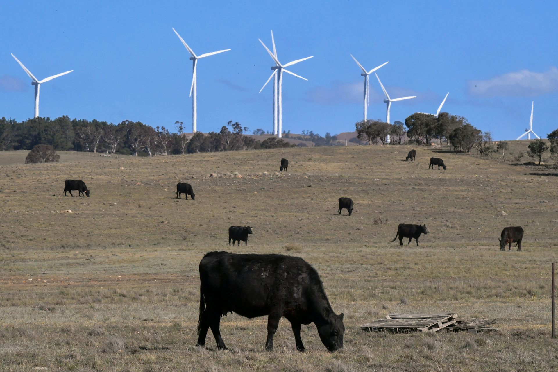Electricity market transforming apace but security a worry: Energy ...
