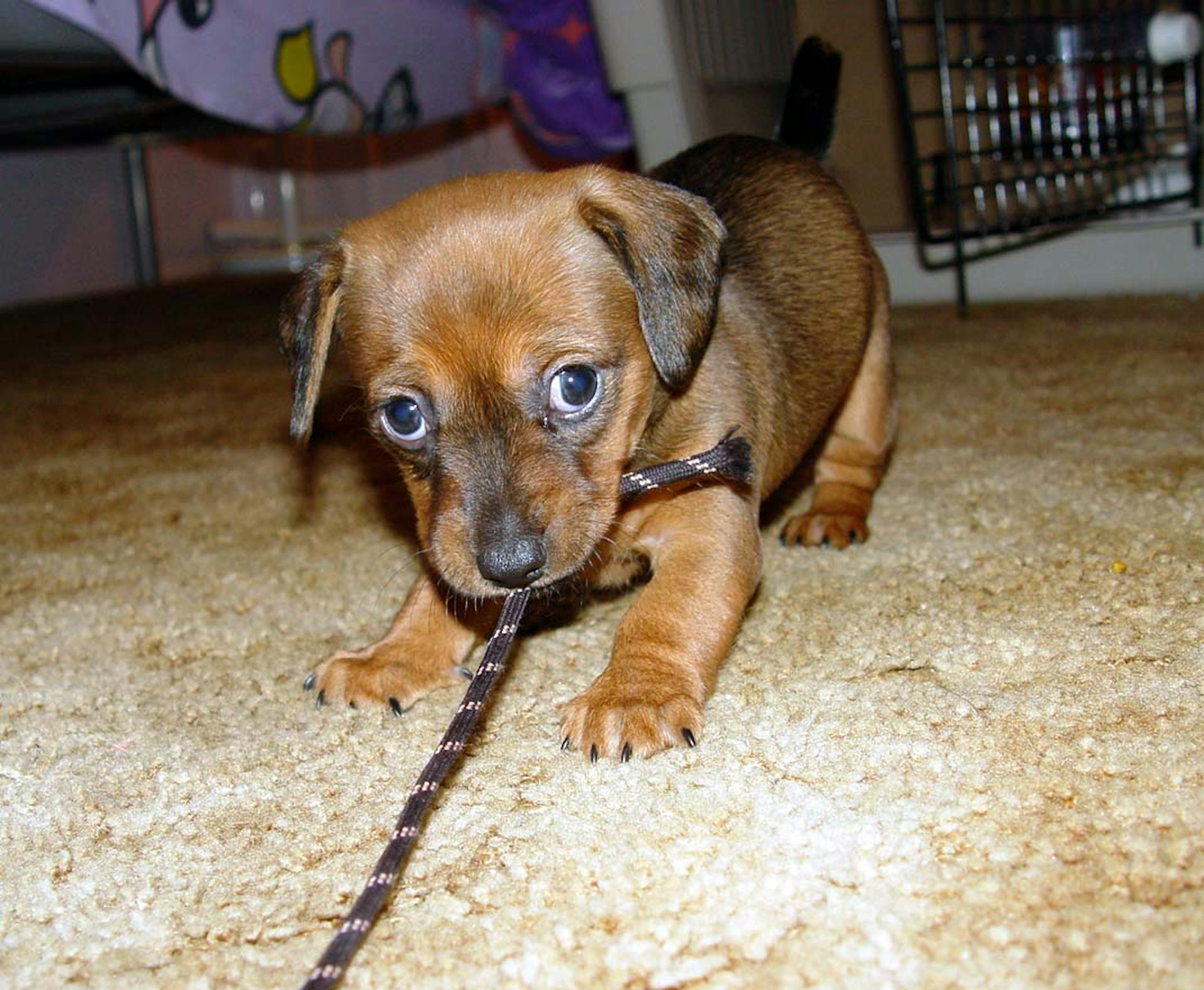 Video games and creative culture: independent or bound by a common ...