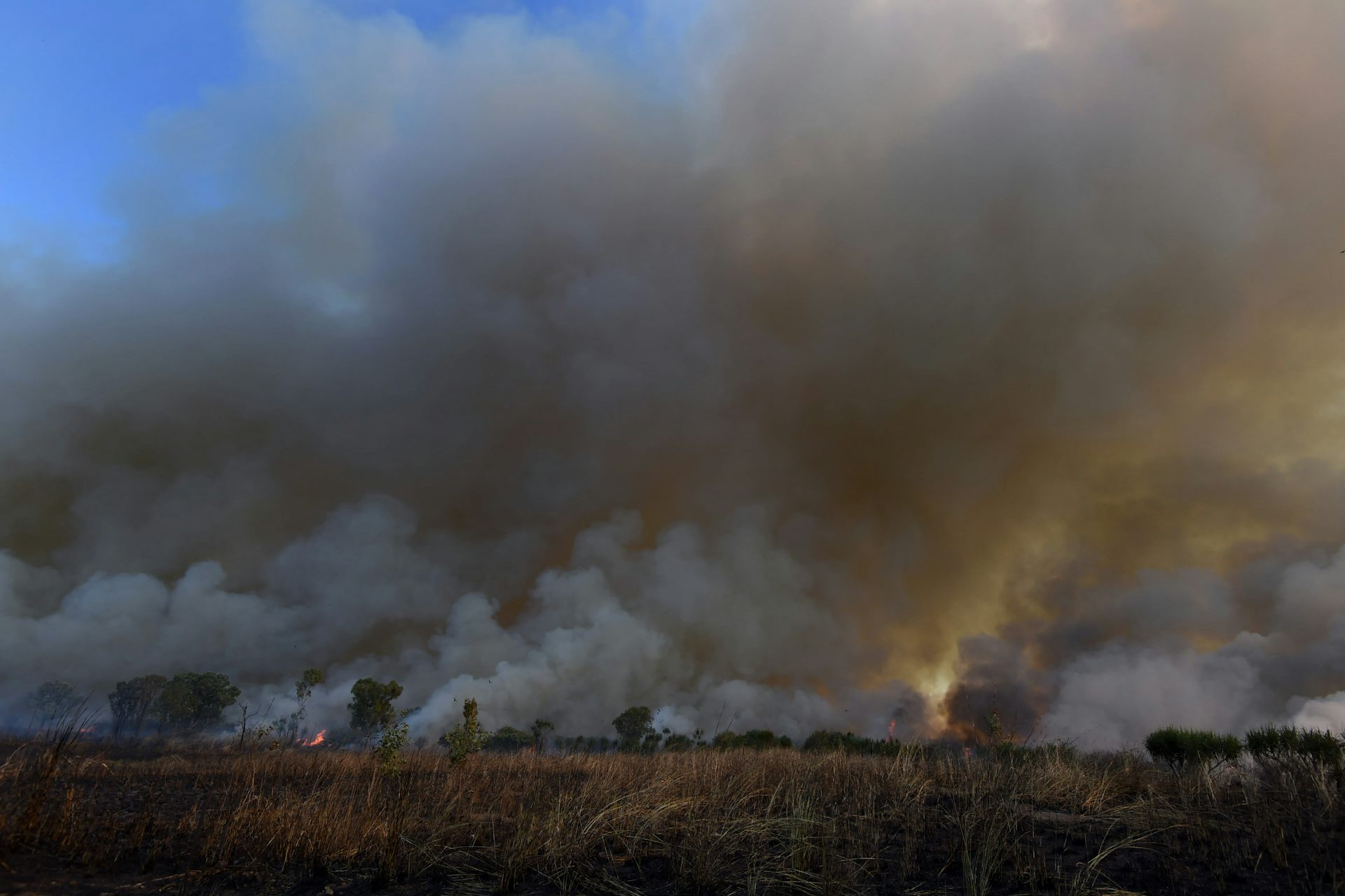The world’s best fire management system is in northern Australia, and ...