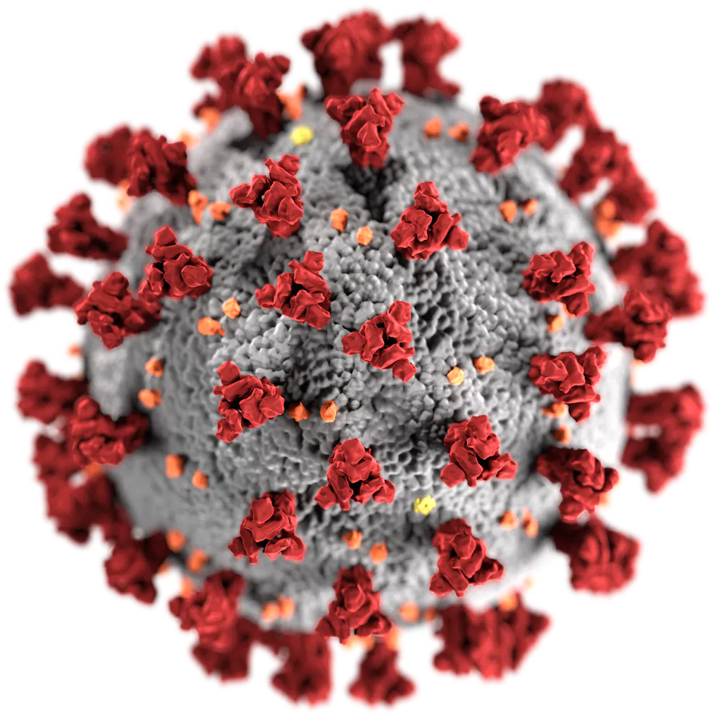 What Is A Virus How Do They Spread How Do They Make Us Sick What Is A Virus How Do They Spread How Do They Make Us Sick