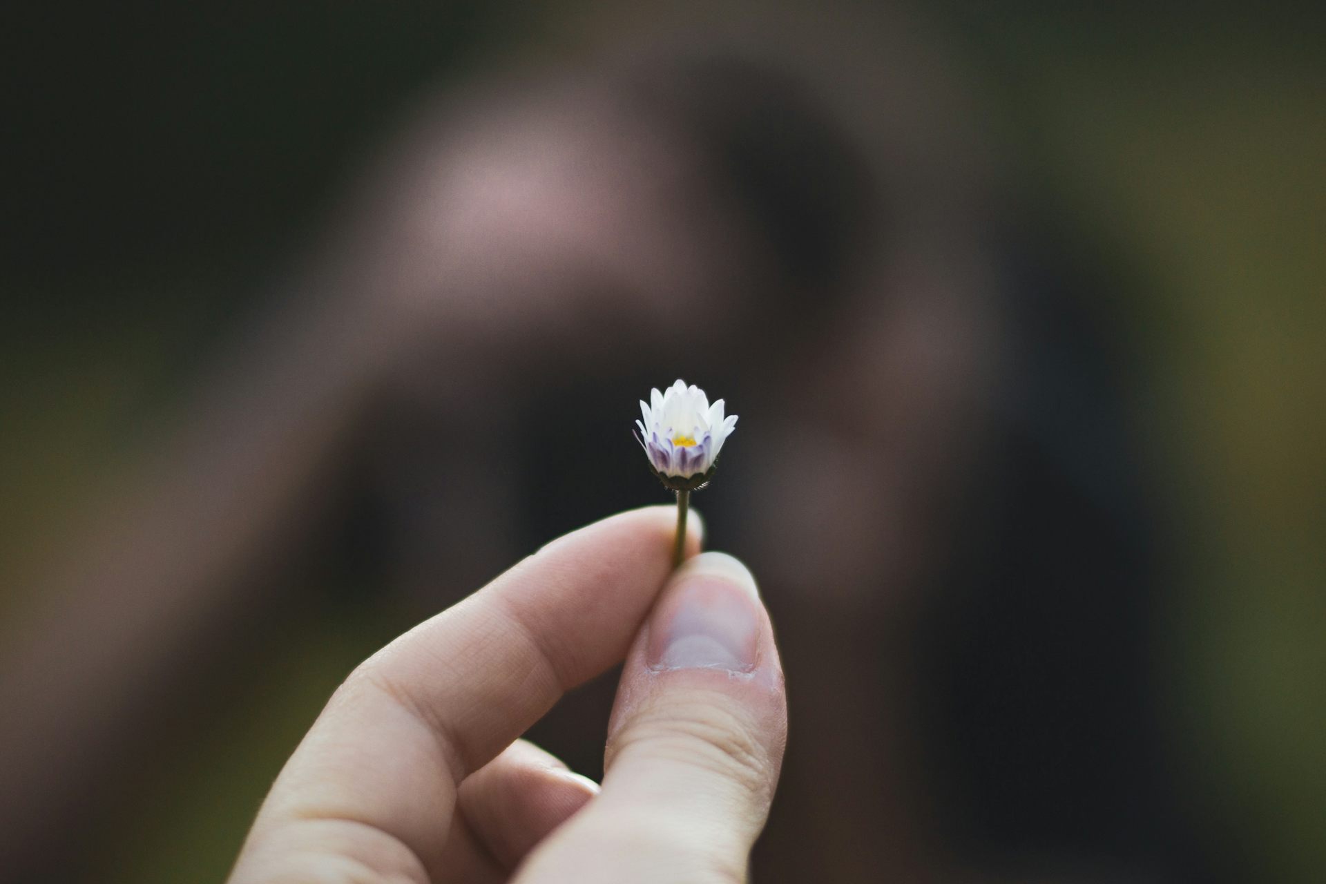 ‘Quiet kindness’ can bolster well-being during coronavirus pandemic