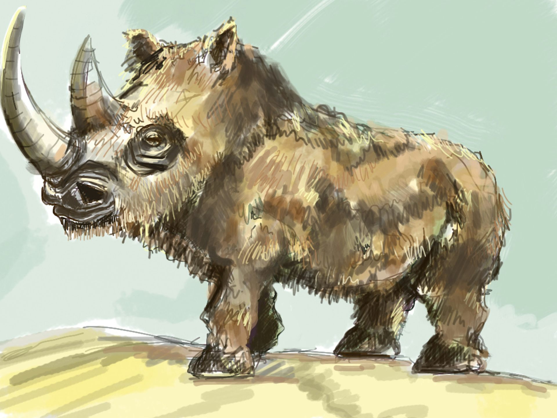 Prehistoric Rhino