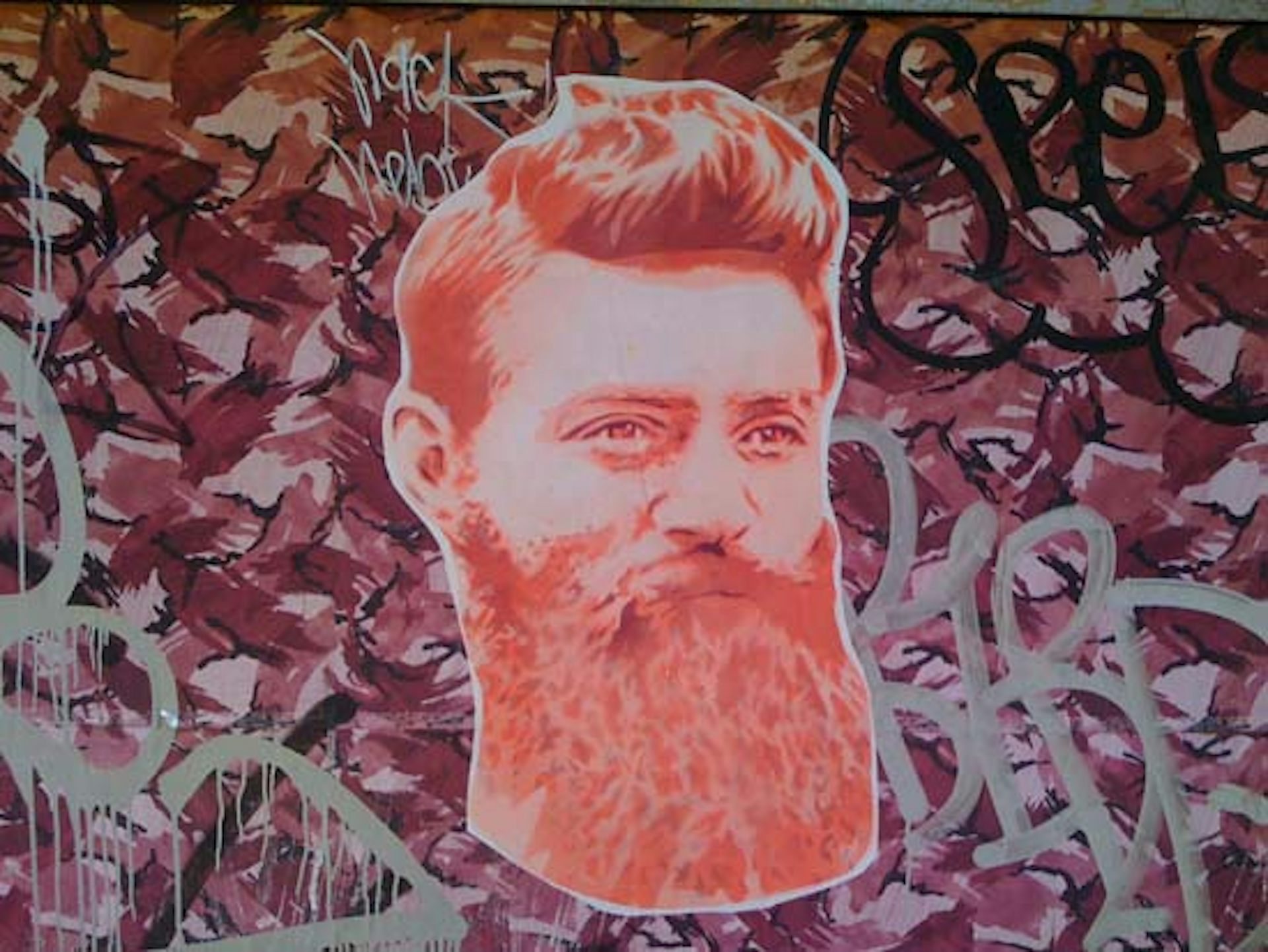 Ned Kelly remains are positively identified … but how was it done?