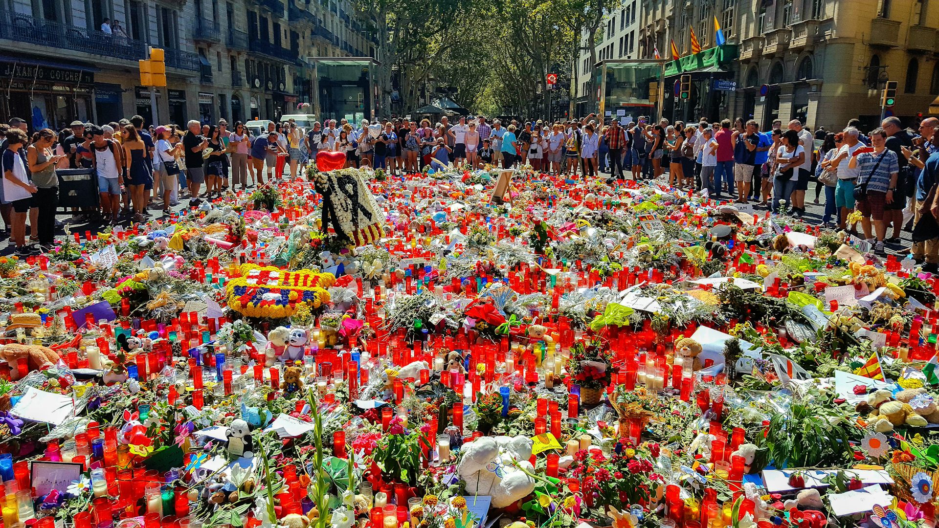 Los enigmas de la radicalización violenta: el fenómeno yihadista