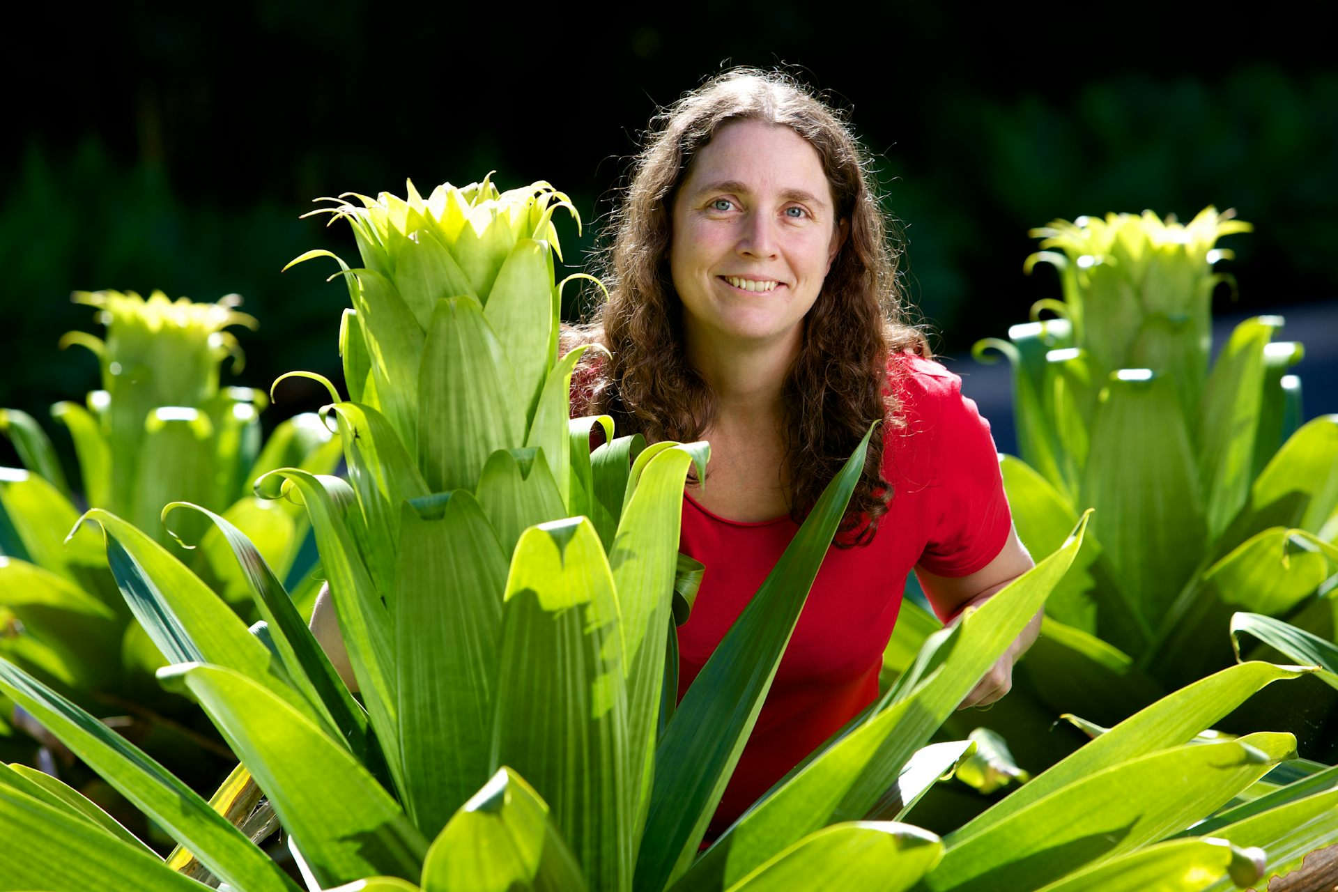 The tropics, tundra and travel bug turn ecology’s ideas upside down