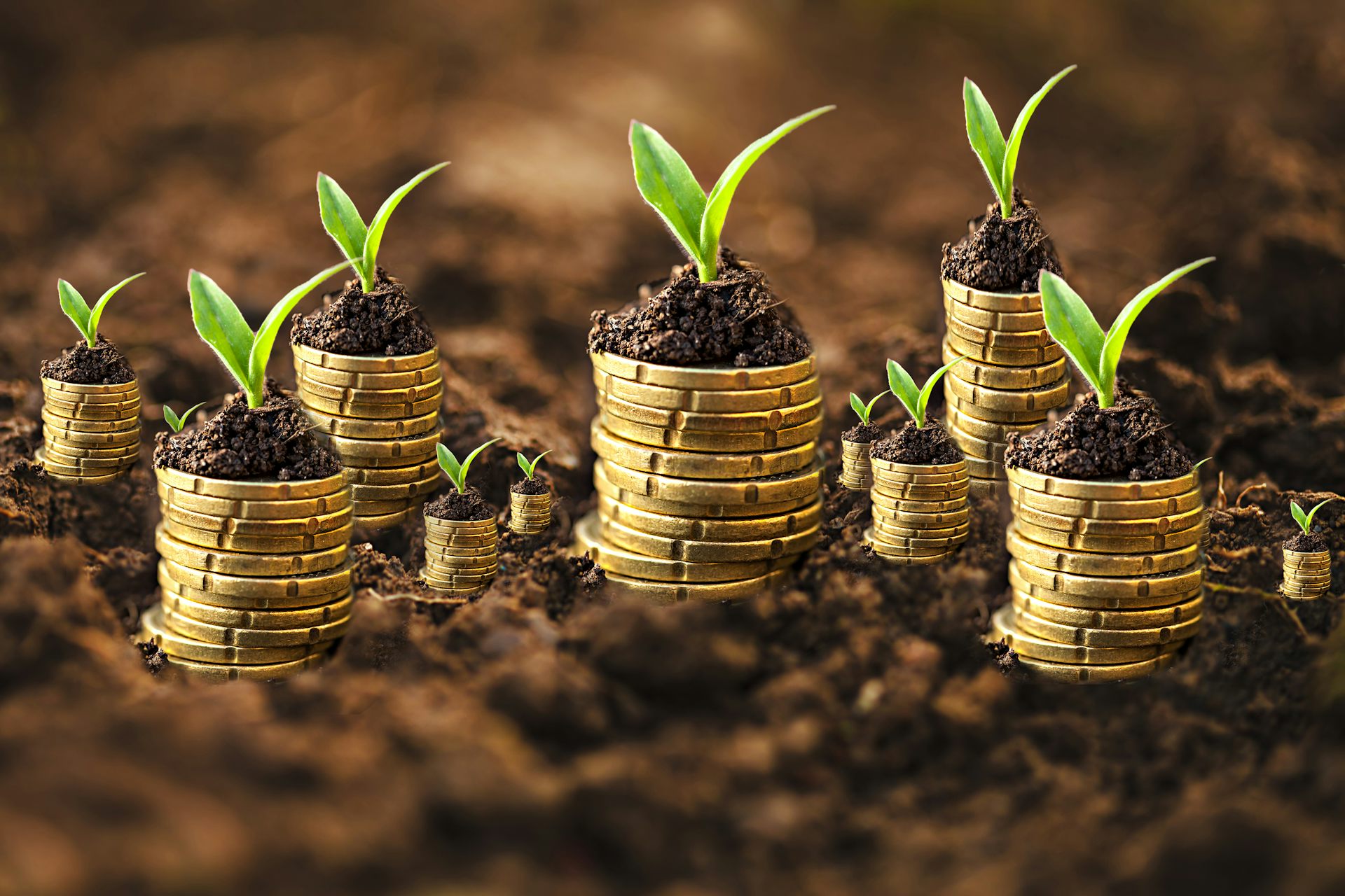 A greener economy: how we make sustainability central to business